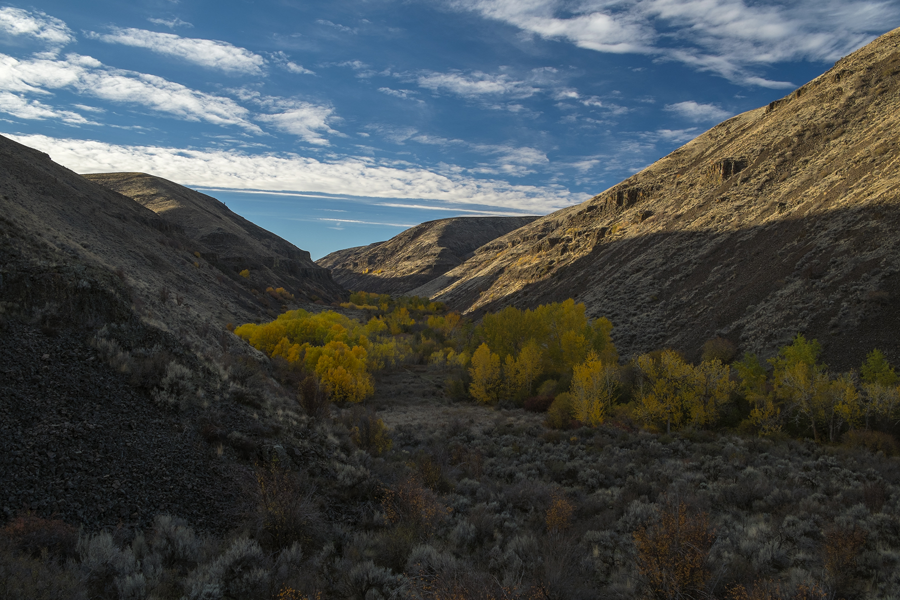 Umtanum Creek Canyon, Umtanum Ridge Crest — Washington Trails Association