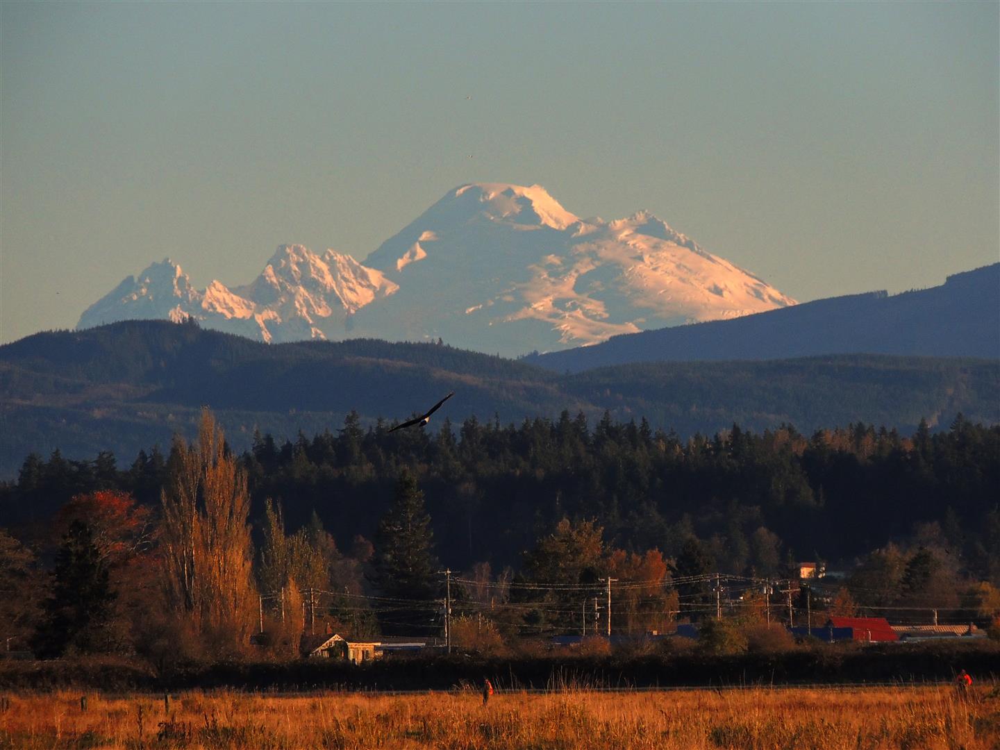 Leque Island - Stanwood Levee Trail — Washington Trails Association