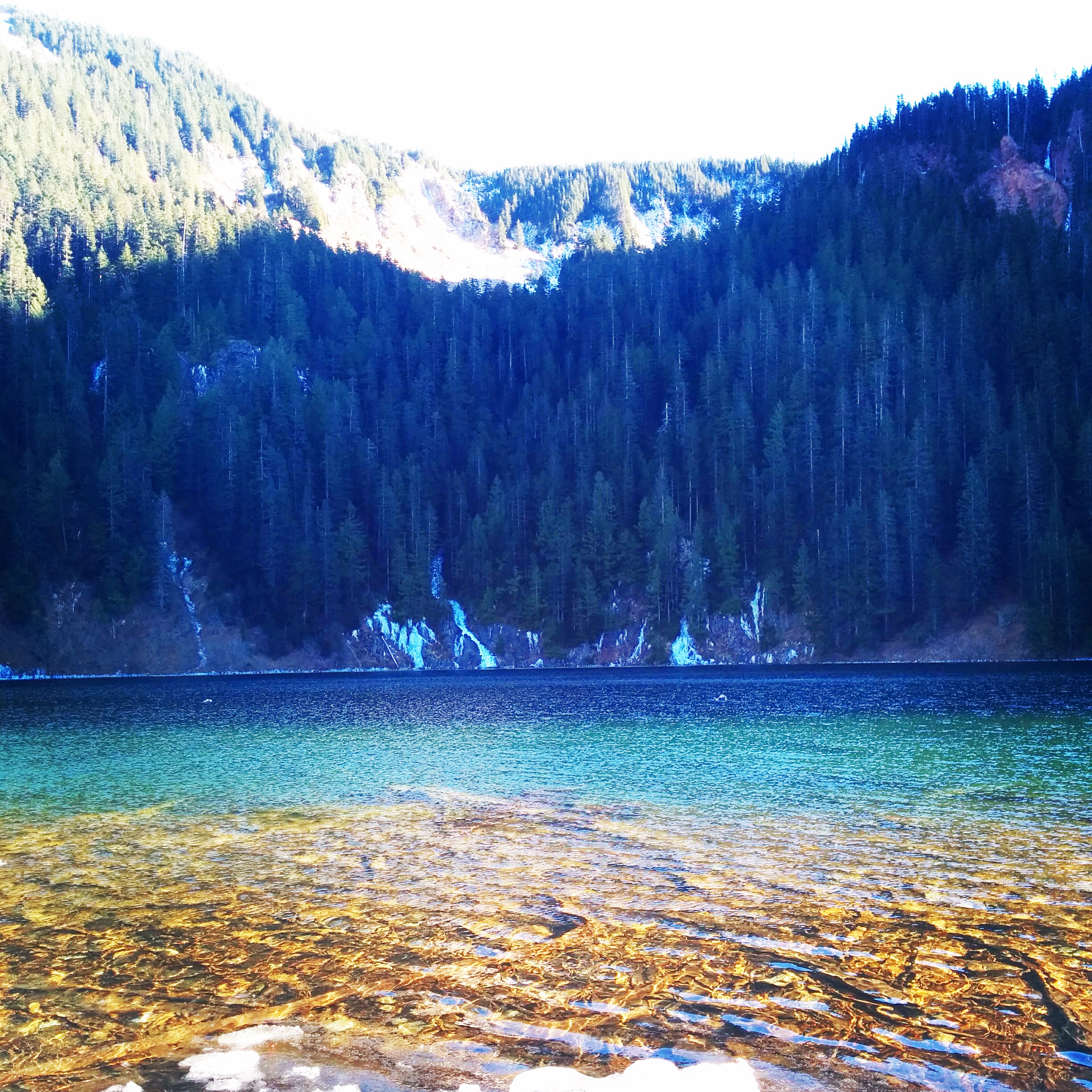 Annette Lake — Washington Trails Association