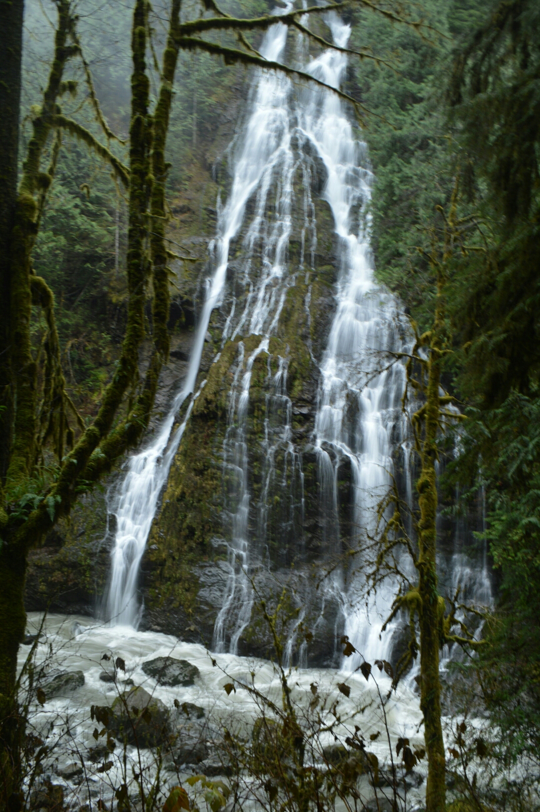 Boulder River — Washington Trails Association