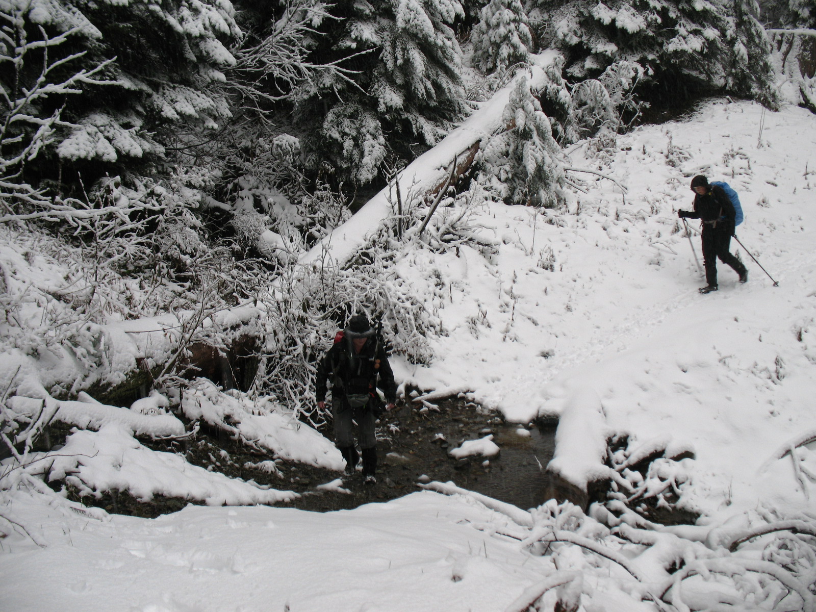 Beckler Peak — Washington Trails Association