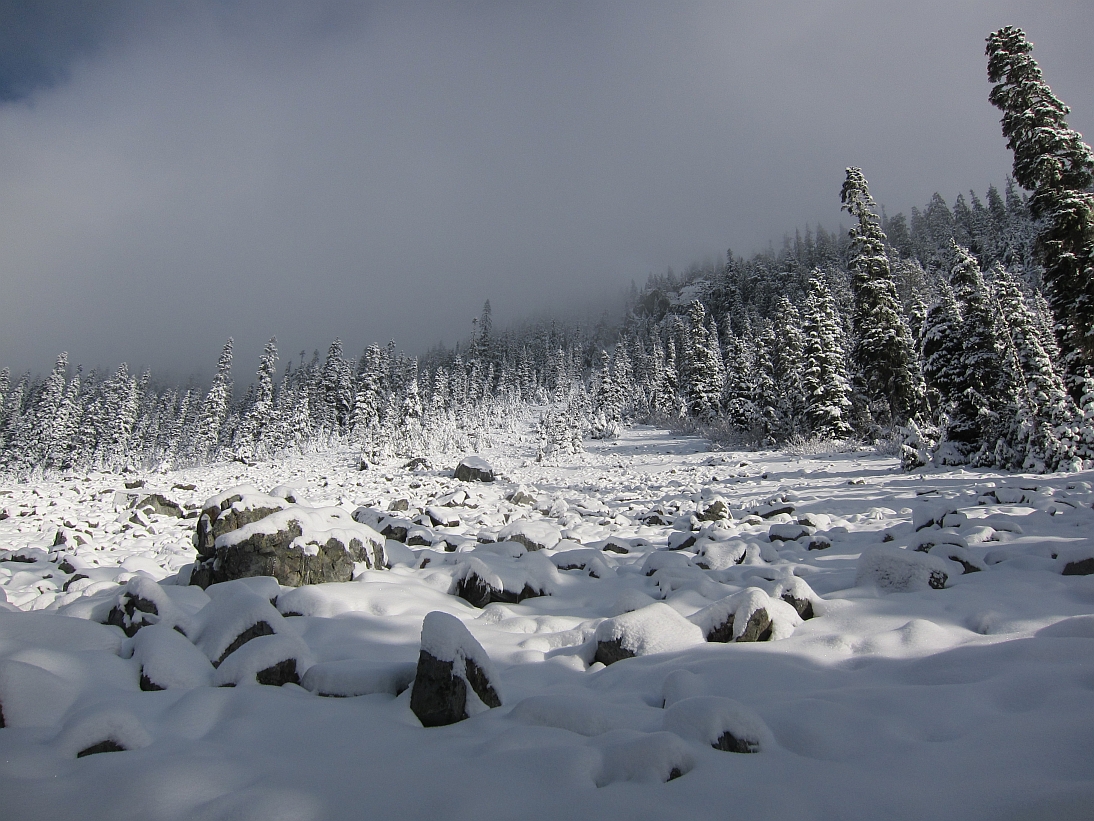 Snow Lake Snowshoe — Washington Trails Association