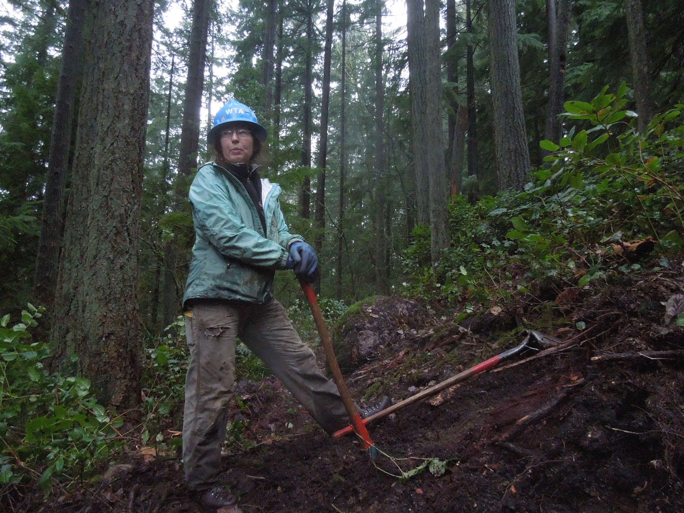 Squak Mountain -- Highland Trail — Washington Trails Association