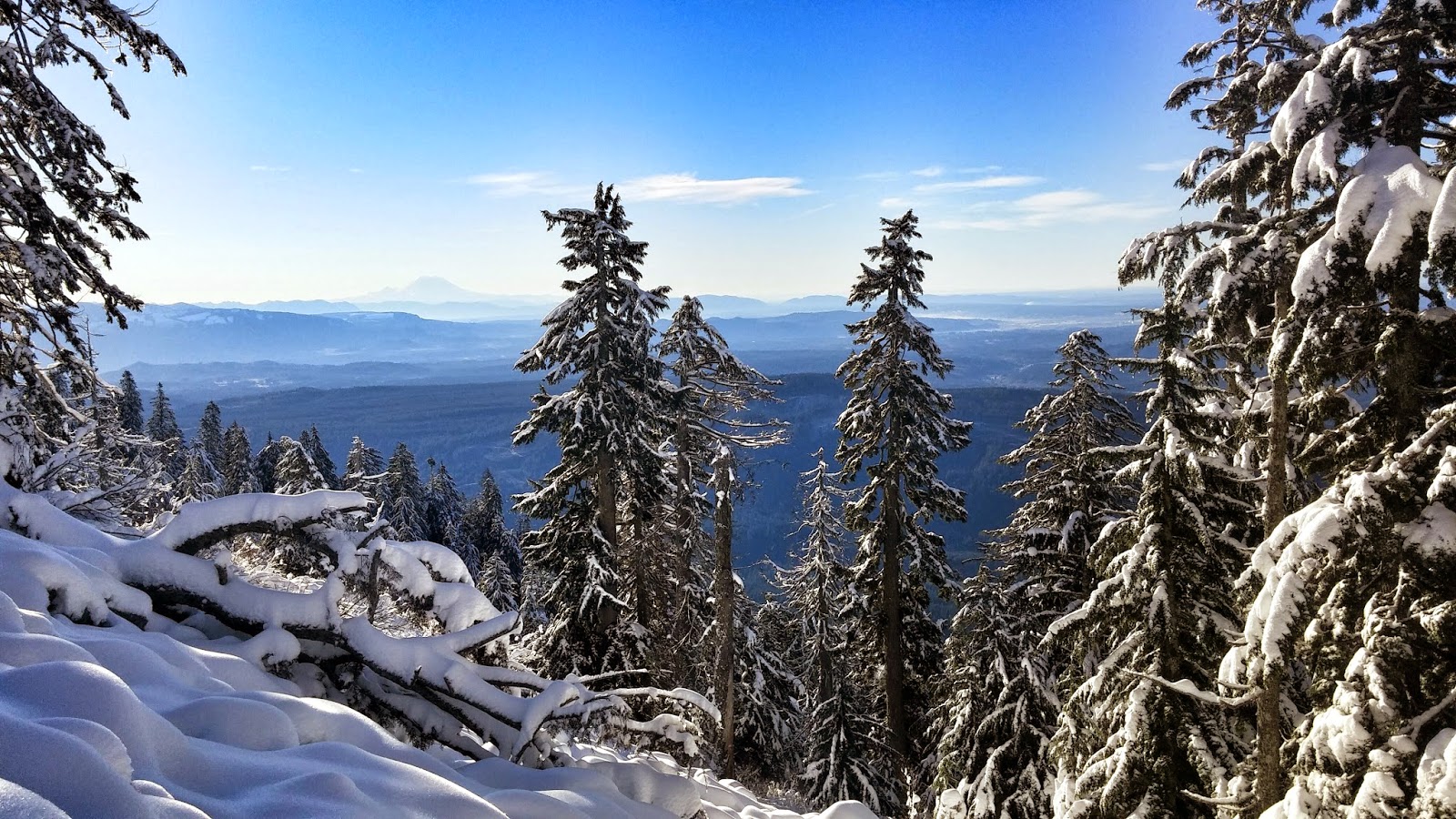 Mount Pilchuck — Washington Trails Association