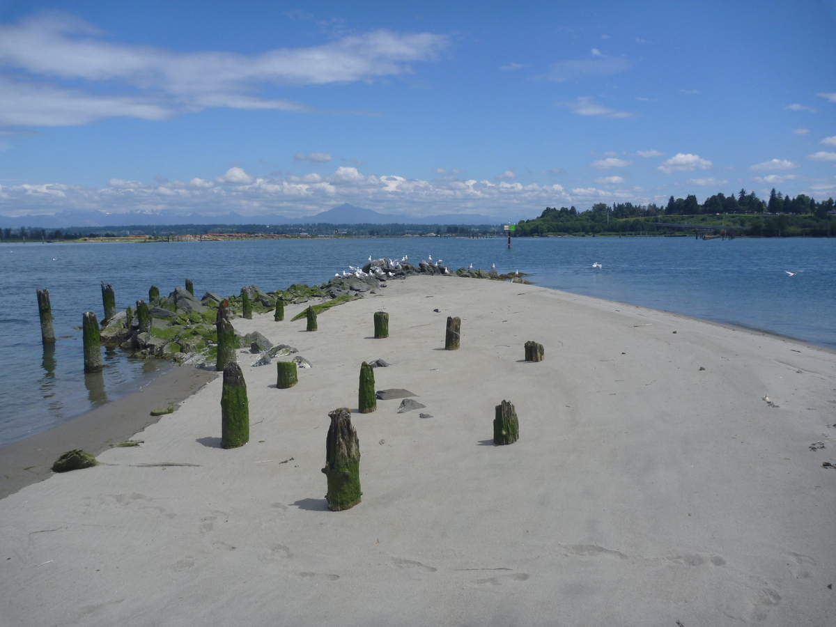 Jetty Island — Washington Trails Association