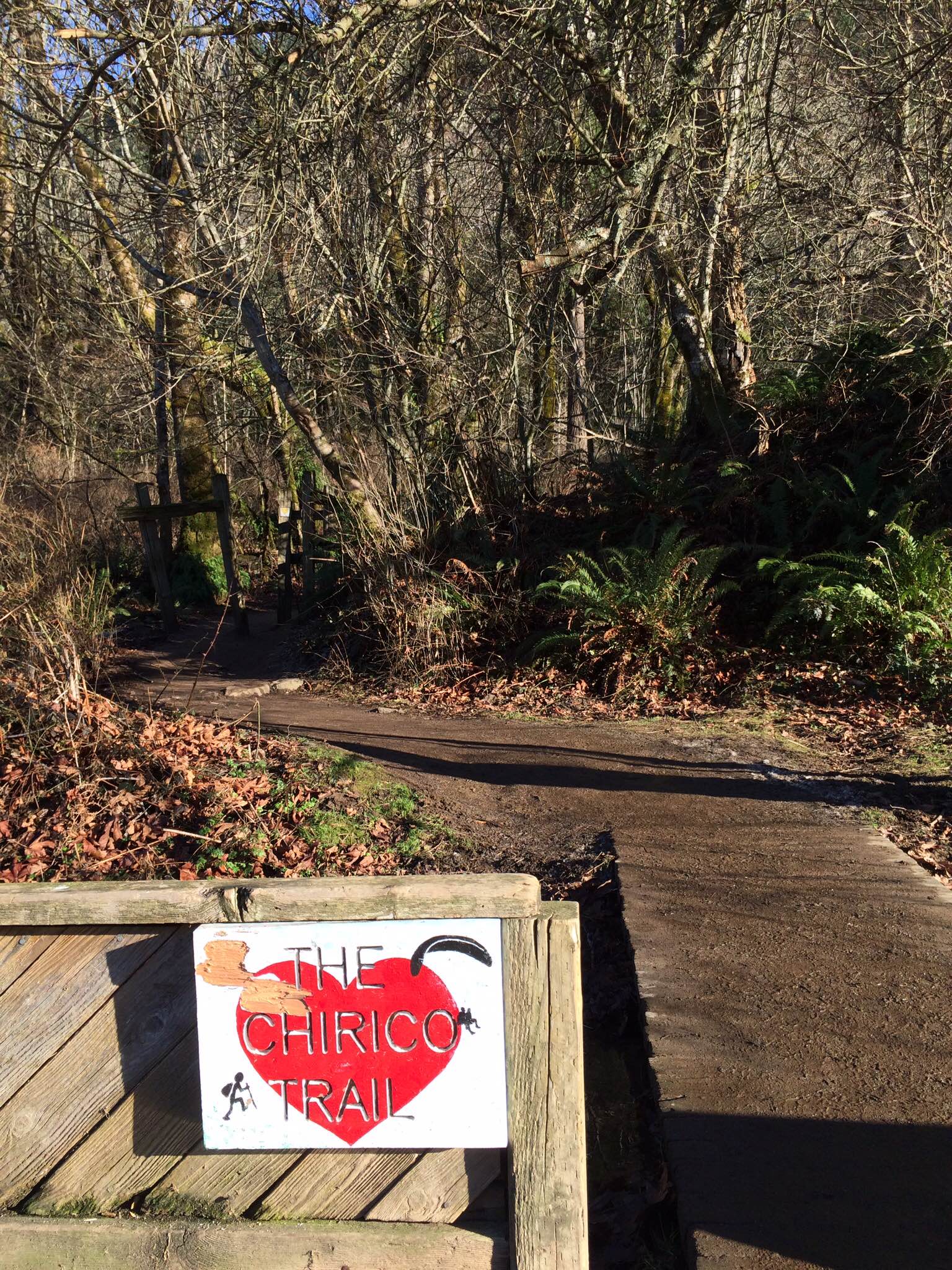 Poo Poo Point - Chirico Trail — Washington Trails Association