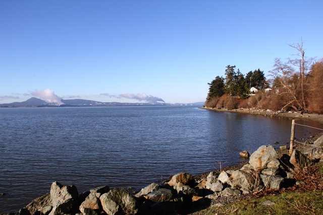 Padilla Bay — Washington Trails Association