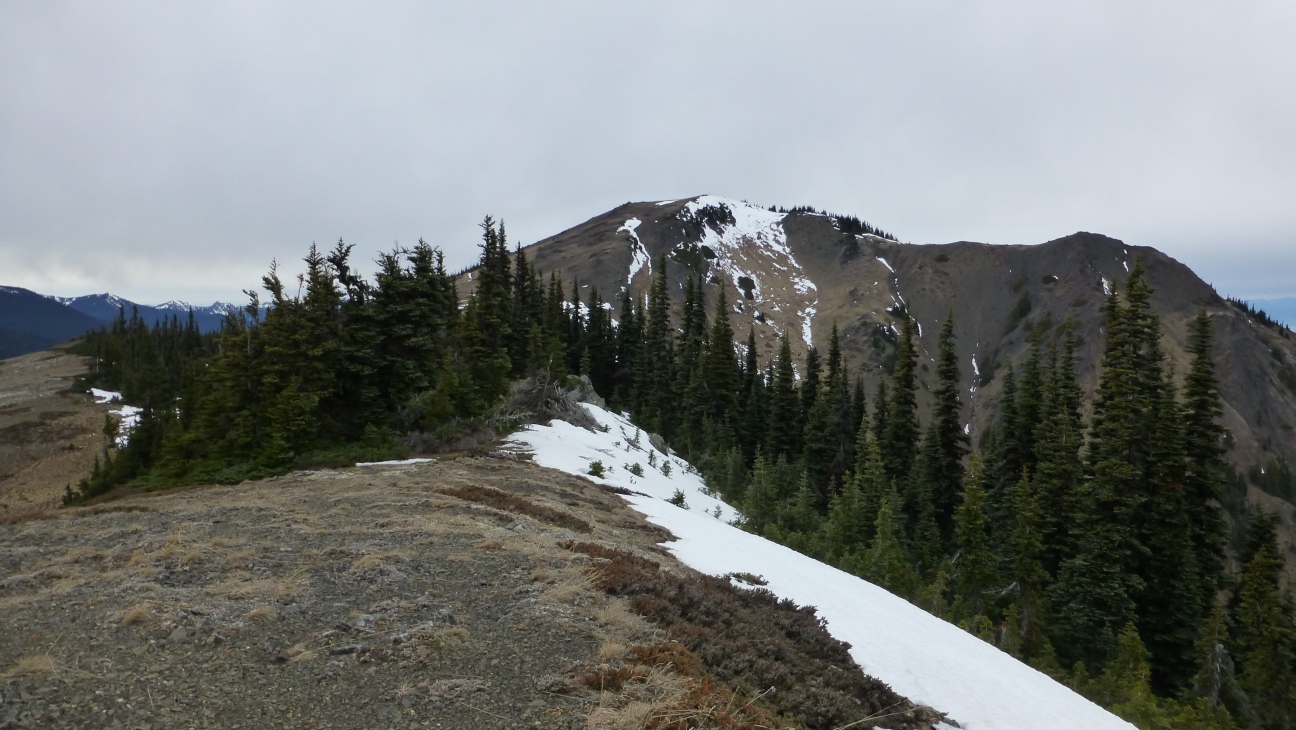 Deer Ridge — Washington Trails Association