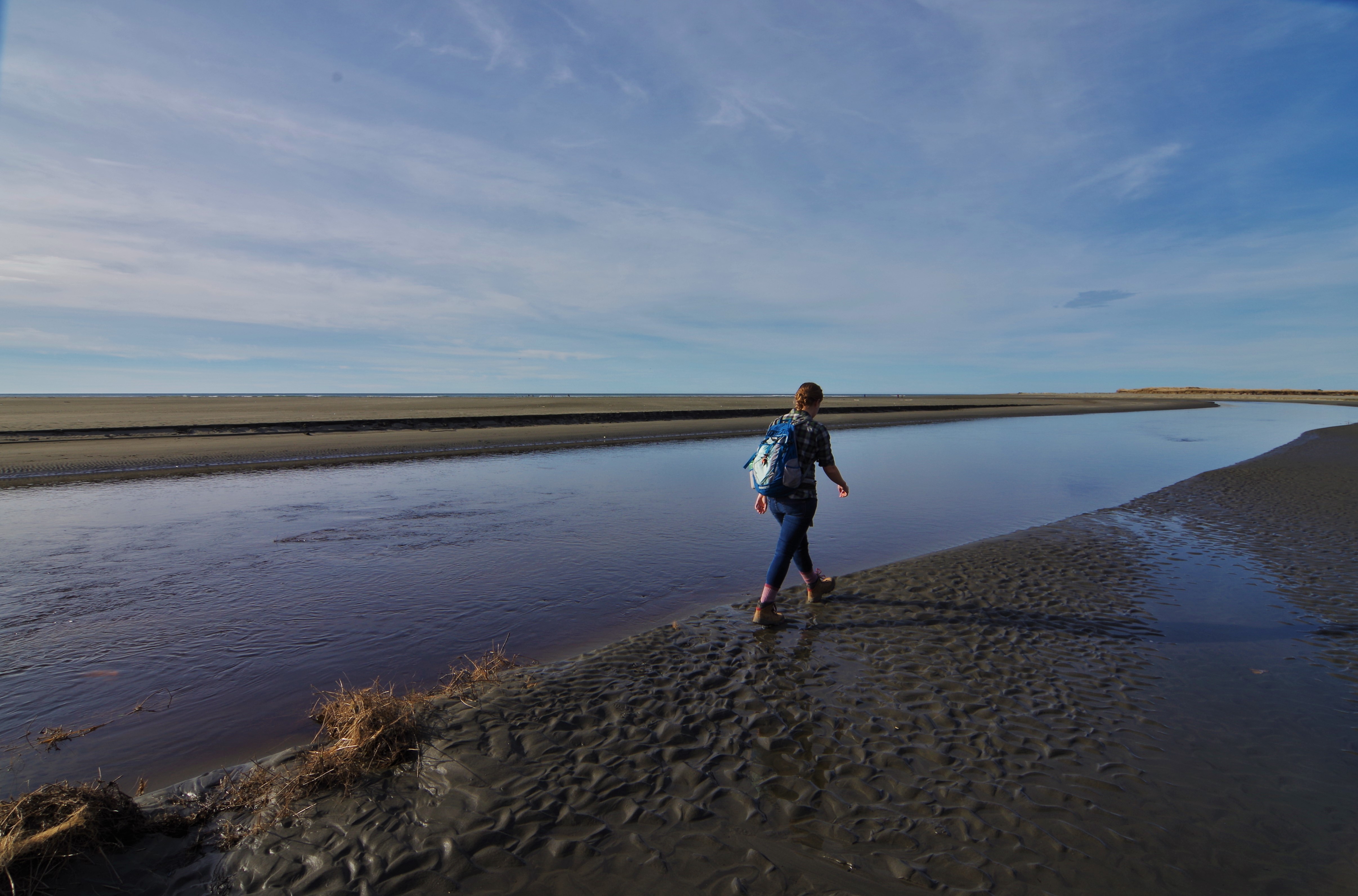 Griffiths-Priday State Park - Copalis River Spit — Washington Trails ...