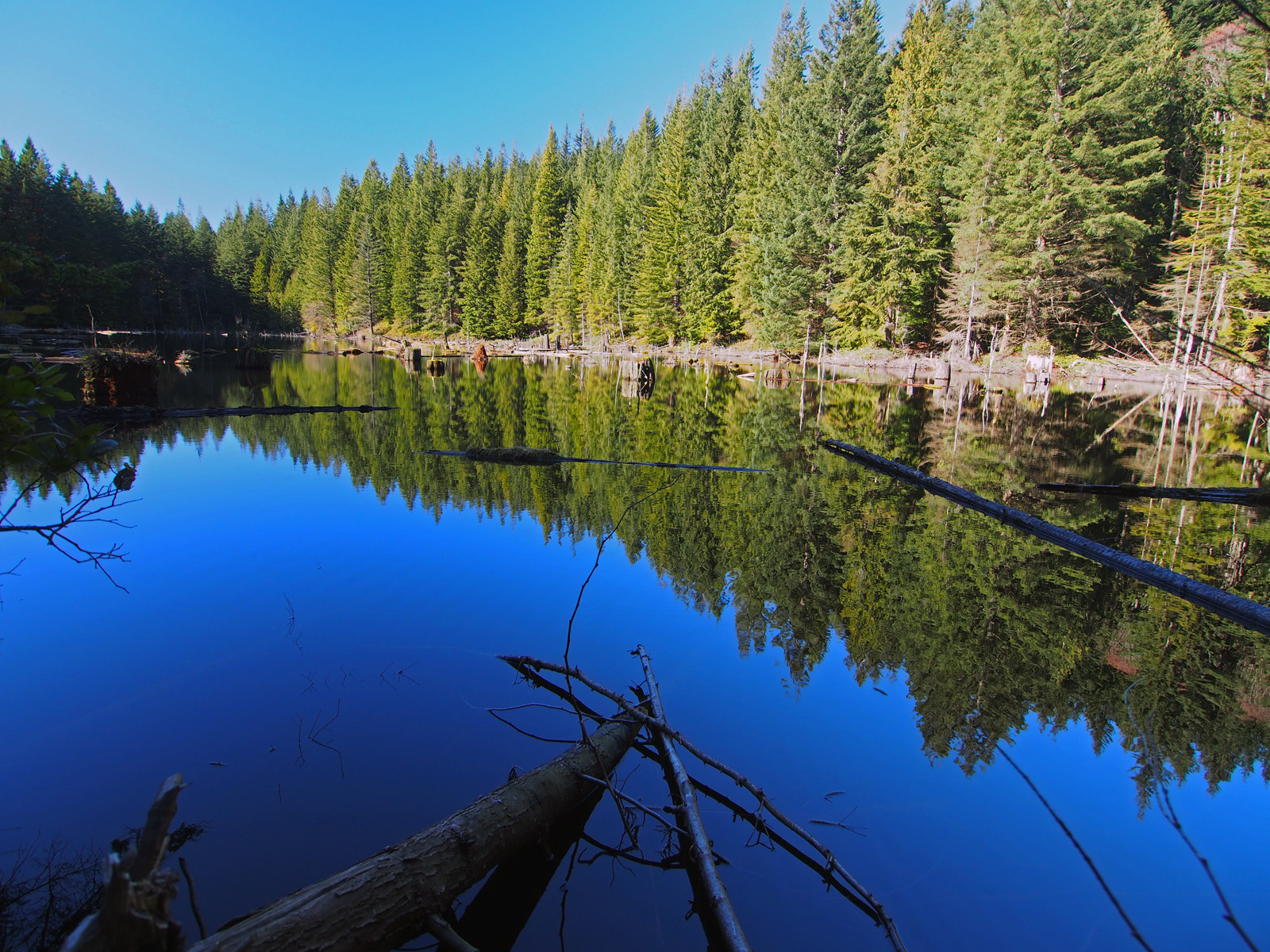 Lily and Lizard Lake Loop — Washington Trails Association