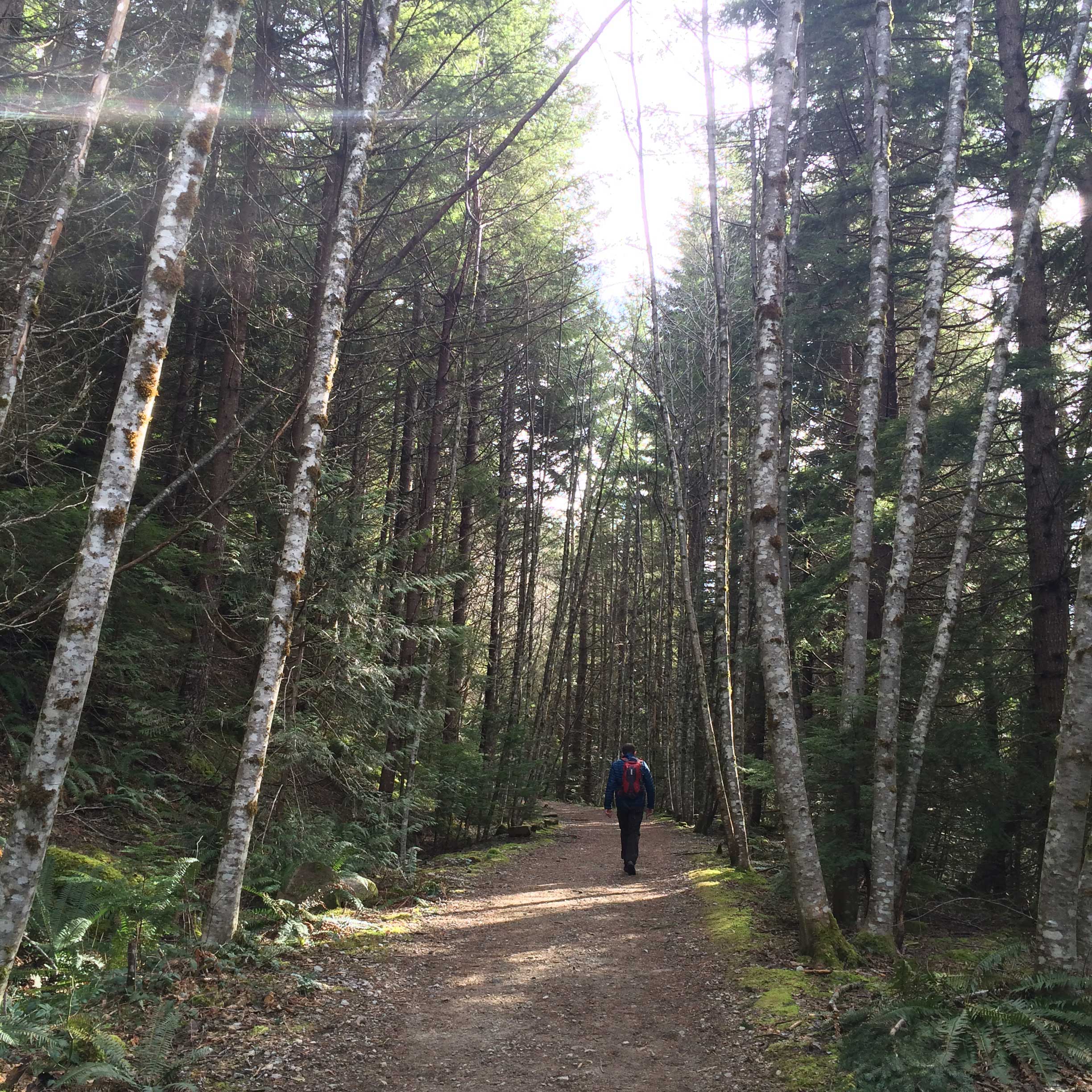 Ira Spring Trail - Mason Lake — Washington Trails Association