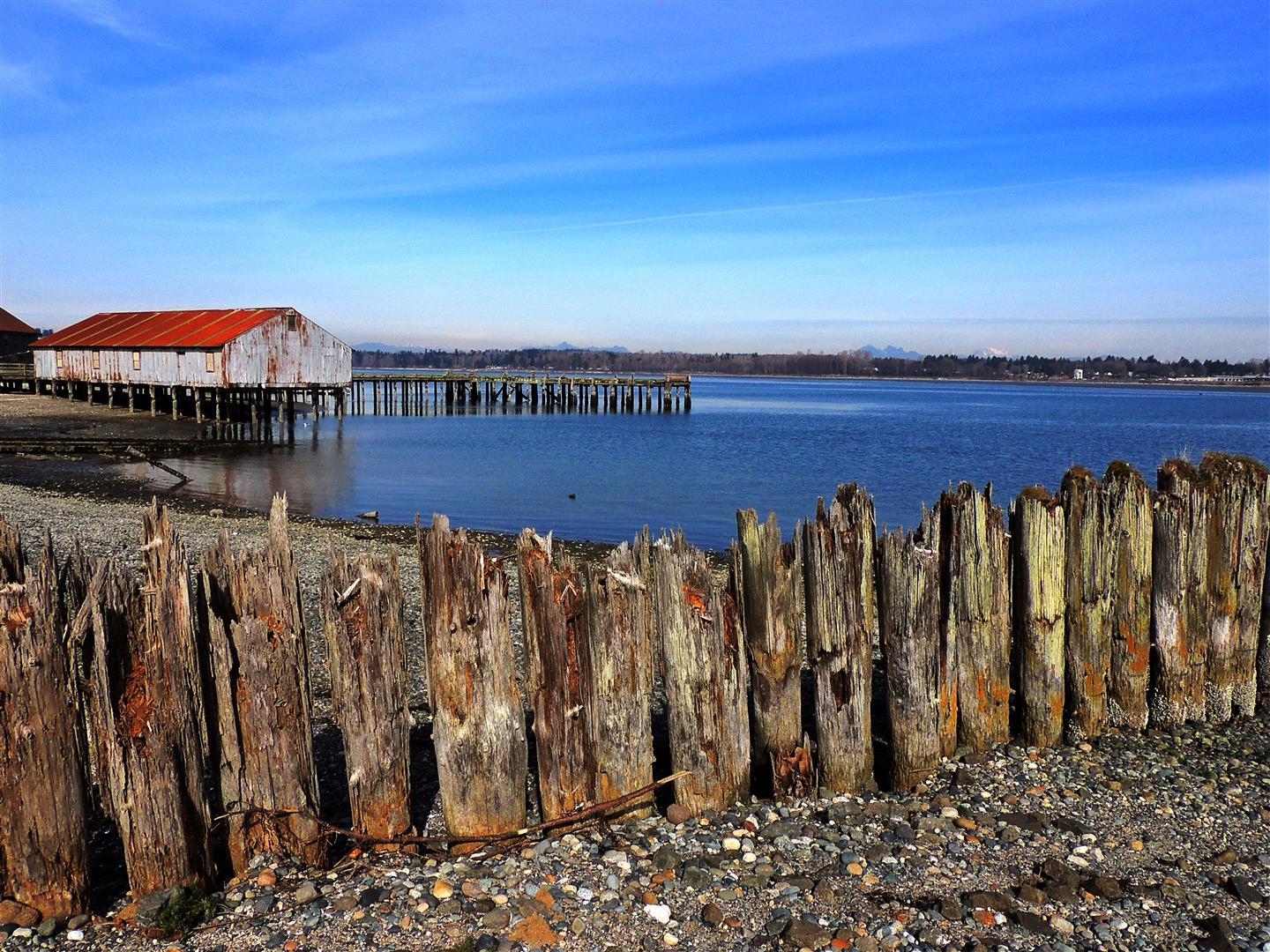Semiahmoo Spit Trail — Washington Trails Association