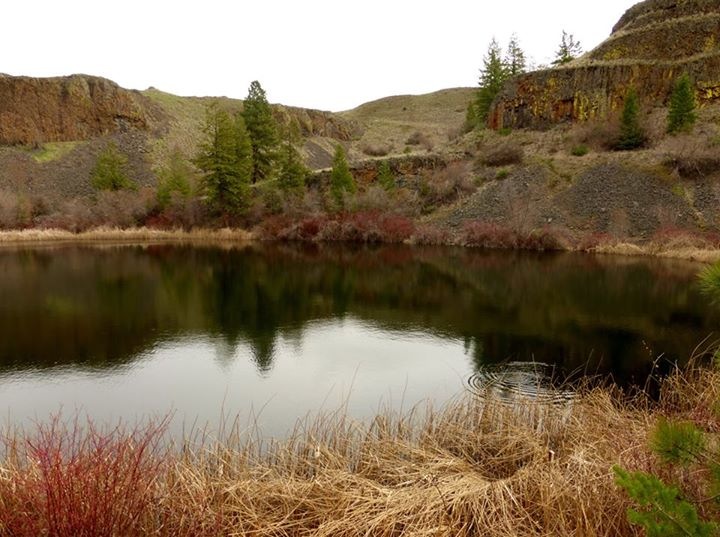 Northrup Canyon, Steamboat Rock — Washington Trails Association