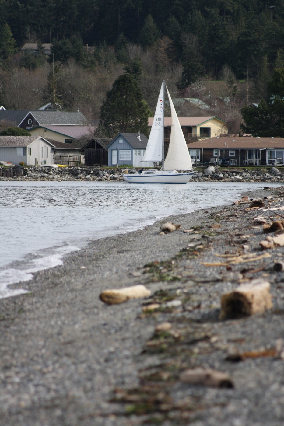 Shark Reef Sanctuary, Spencer Spit — Washington Trails Association