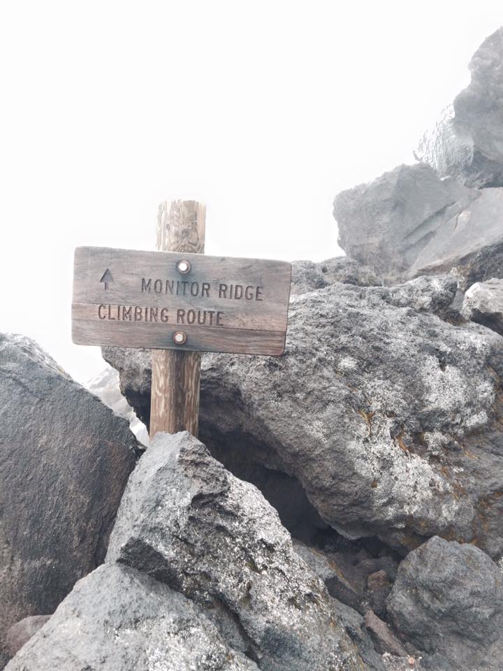 Mount St. Helens Summit - Monitor Ridge — Washington Trails Association