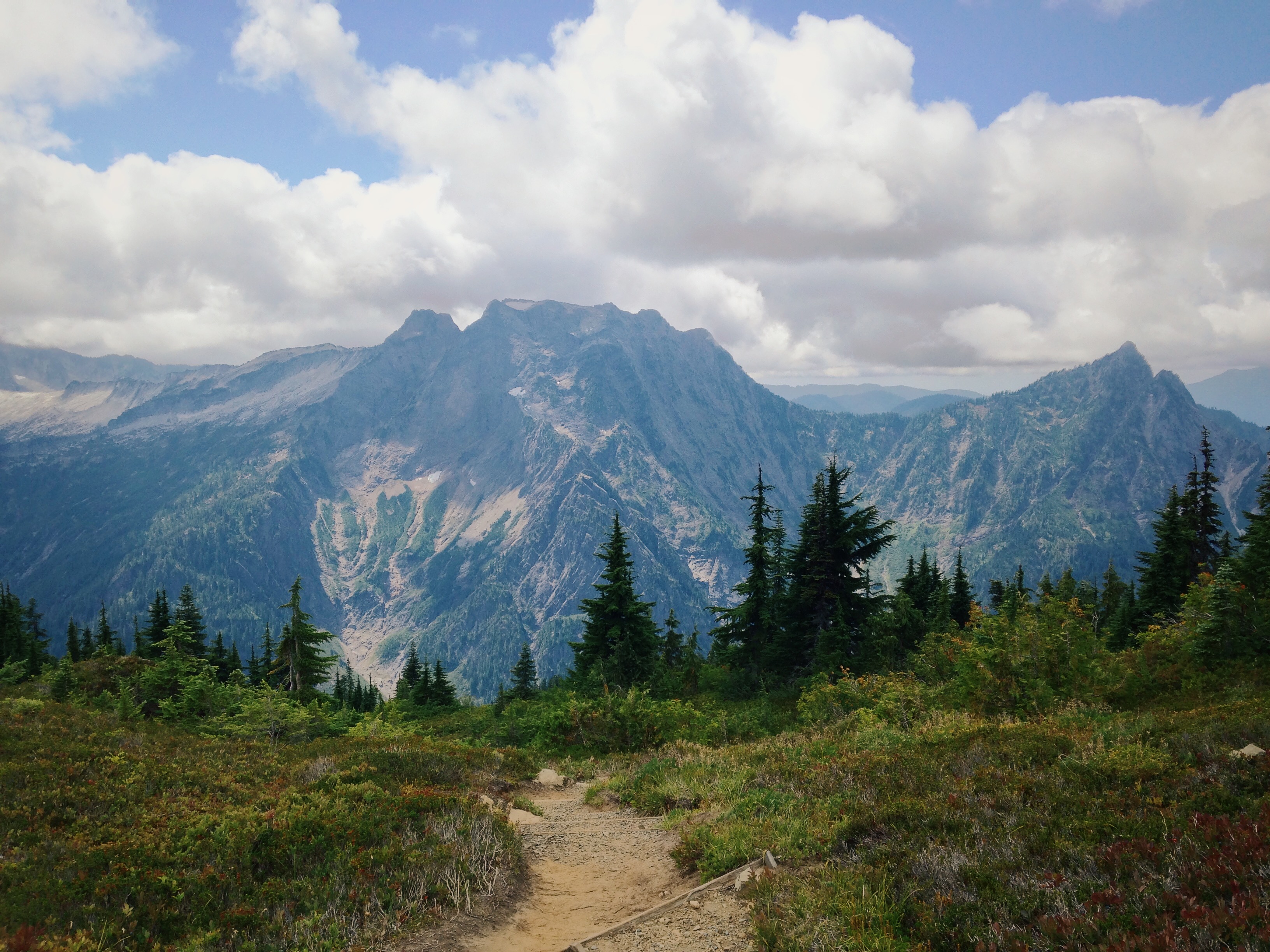 Mount Dickerman — Washington Trails Association