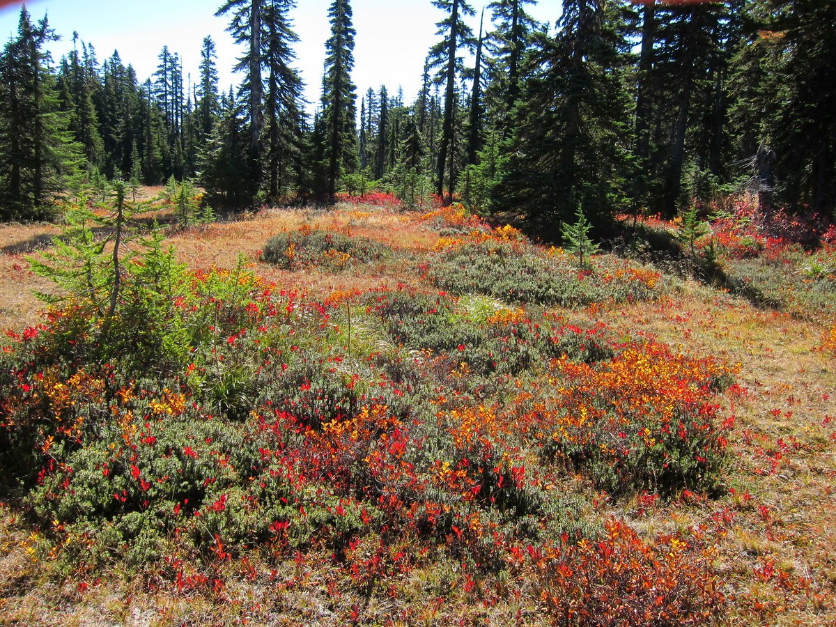 Thomas Lake — Washington Trails Association