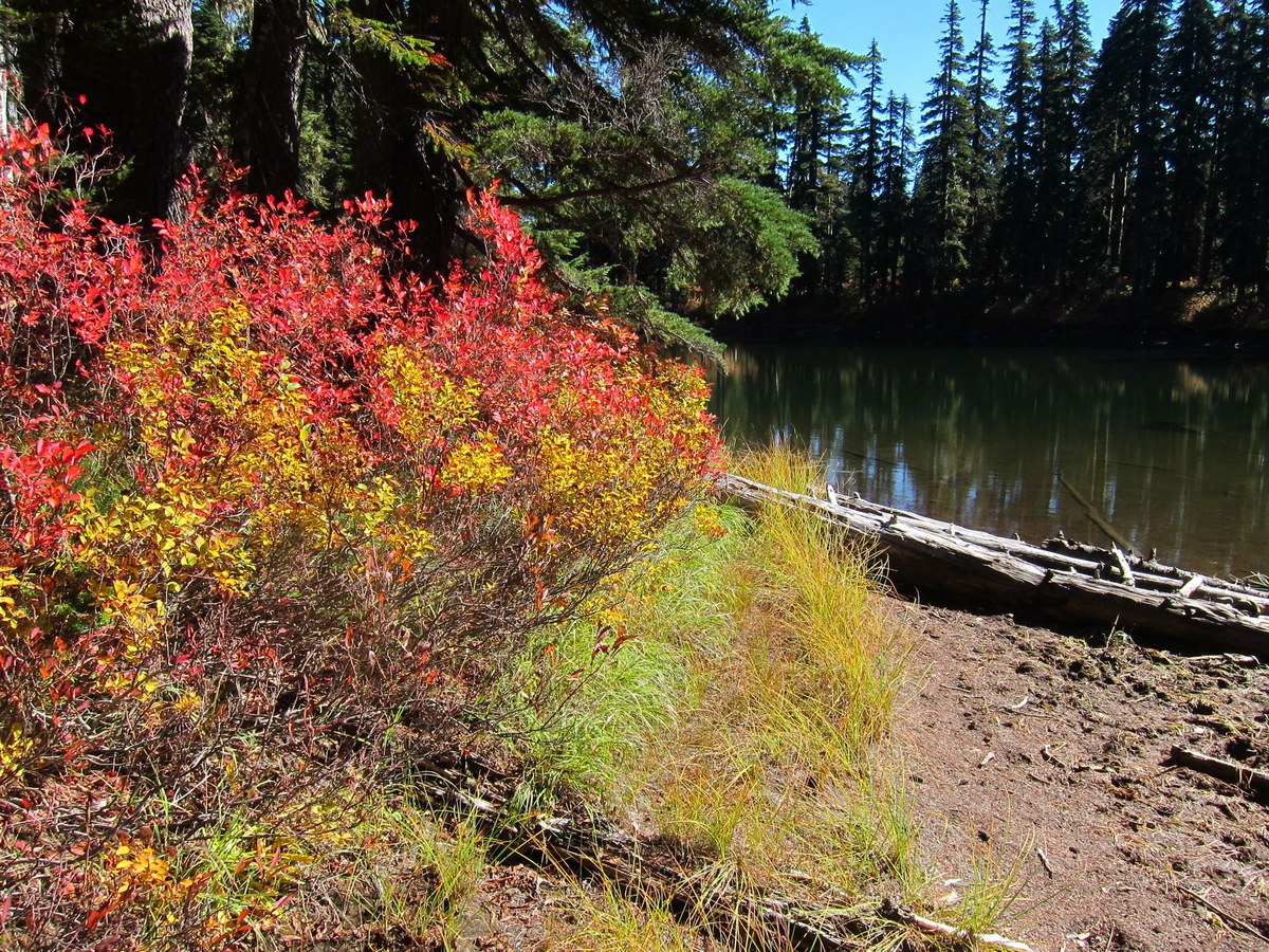 Thomas Lake — Washington Trails Association