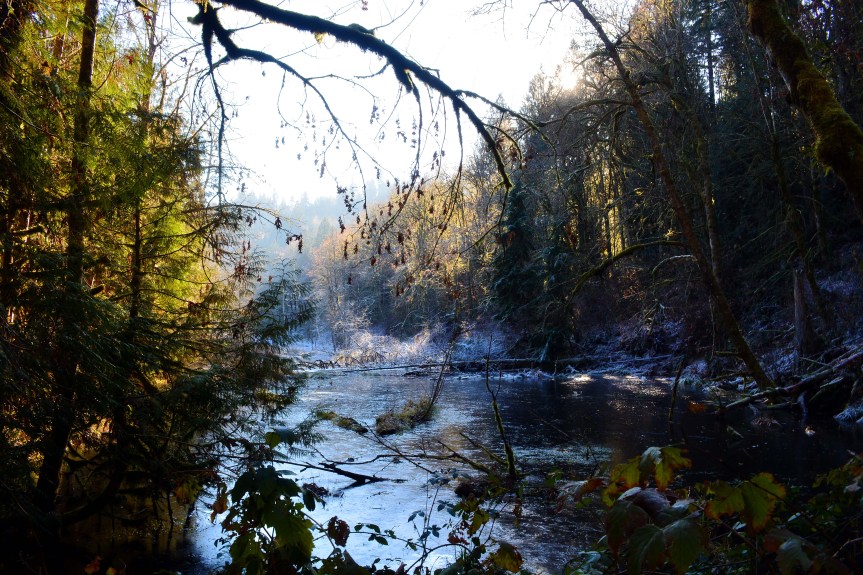 Flaming Geyser State Park — Washington Trails Association