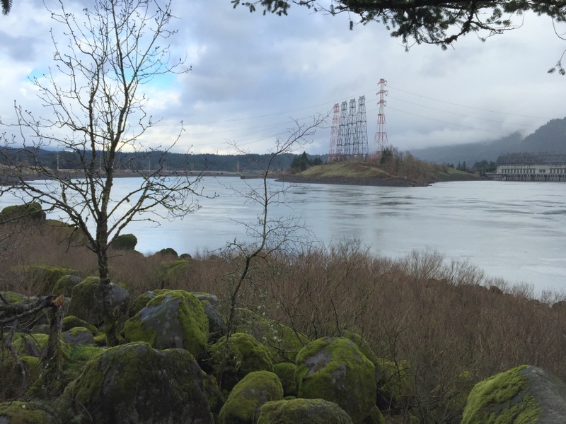 Fort Cascades Loop — Washington Trails Association