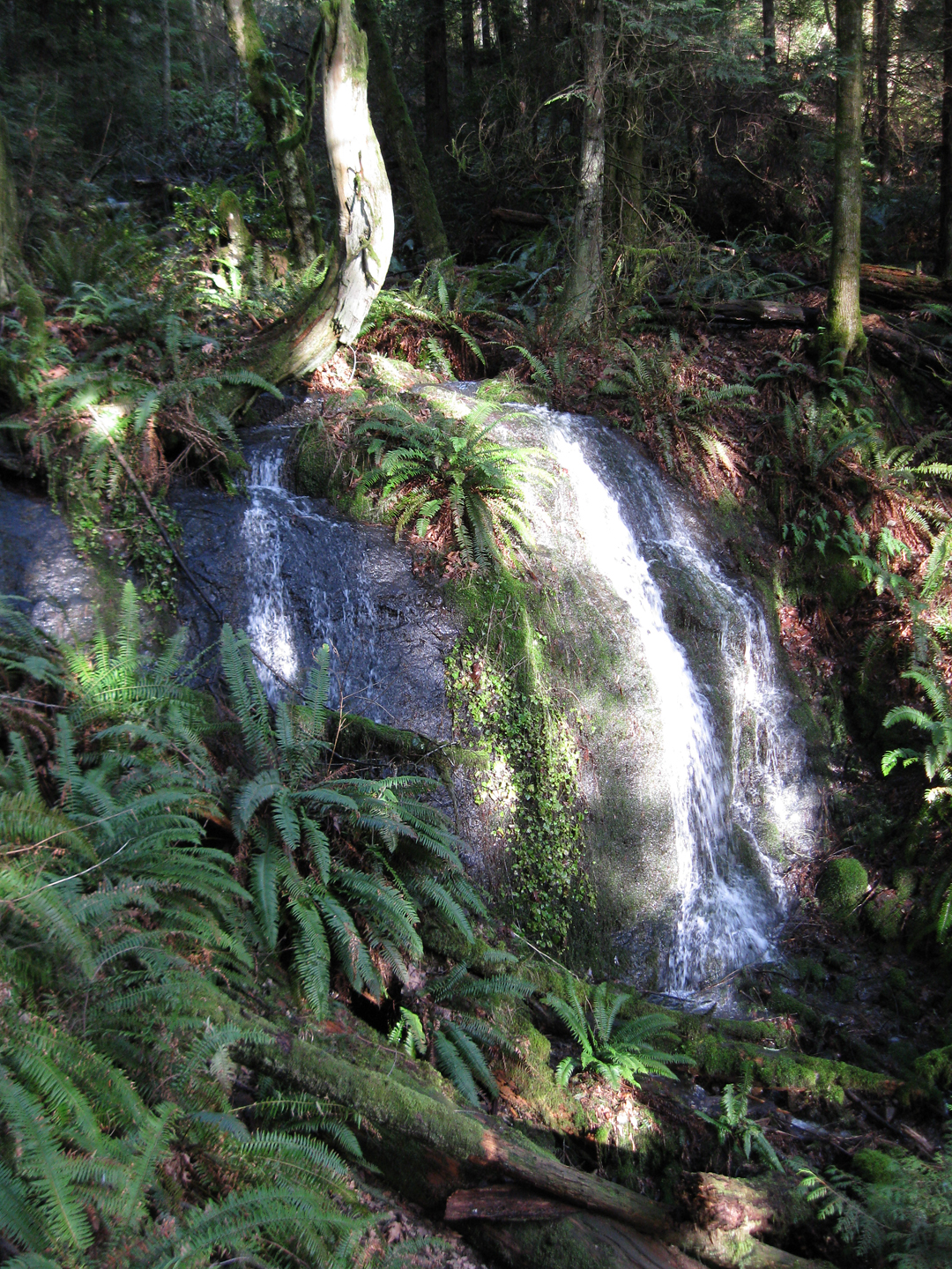 Shy Bear, Wilderness Peak Loop, Deceiver, Long View Peak — Washington ...