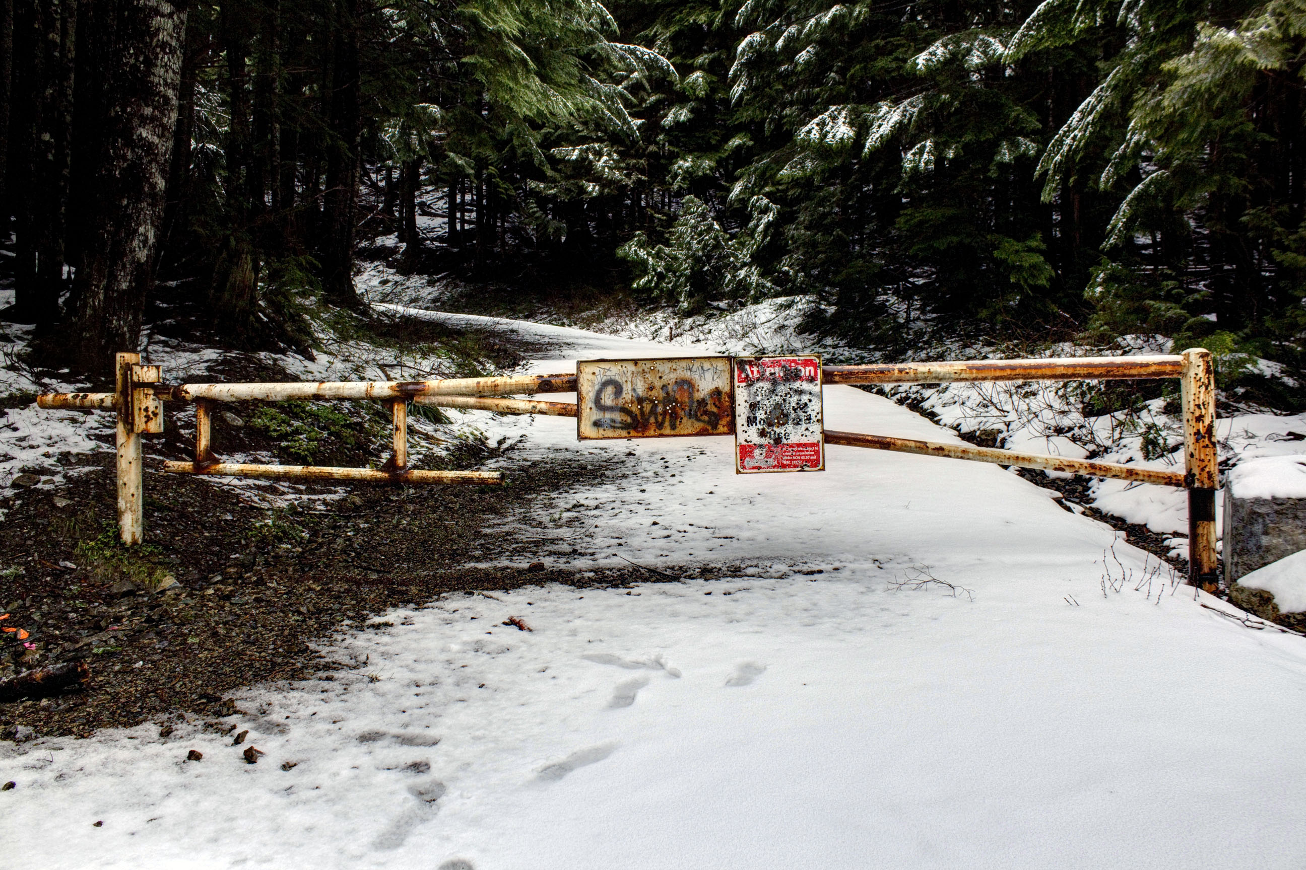 Spada Lake - Culmback Dam — Washington Trails Association