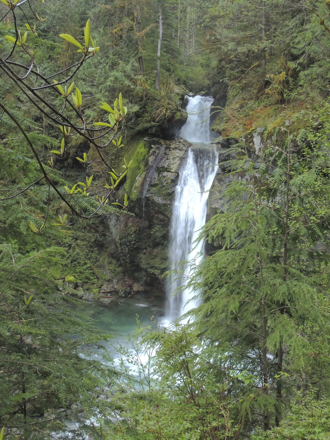Lazy Bear Falls — Washington Trails Association