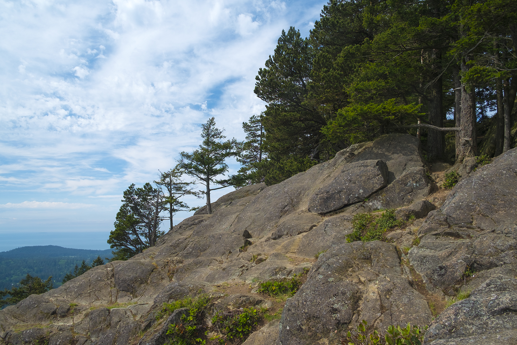 Whistle Lake, Mount Erie — Washington Trails Association