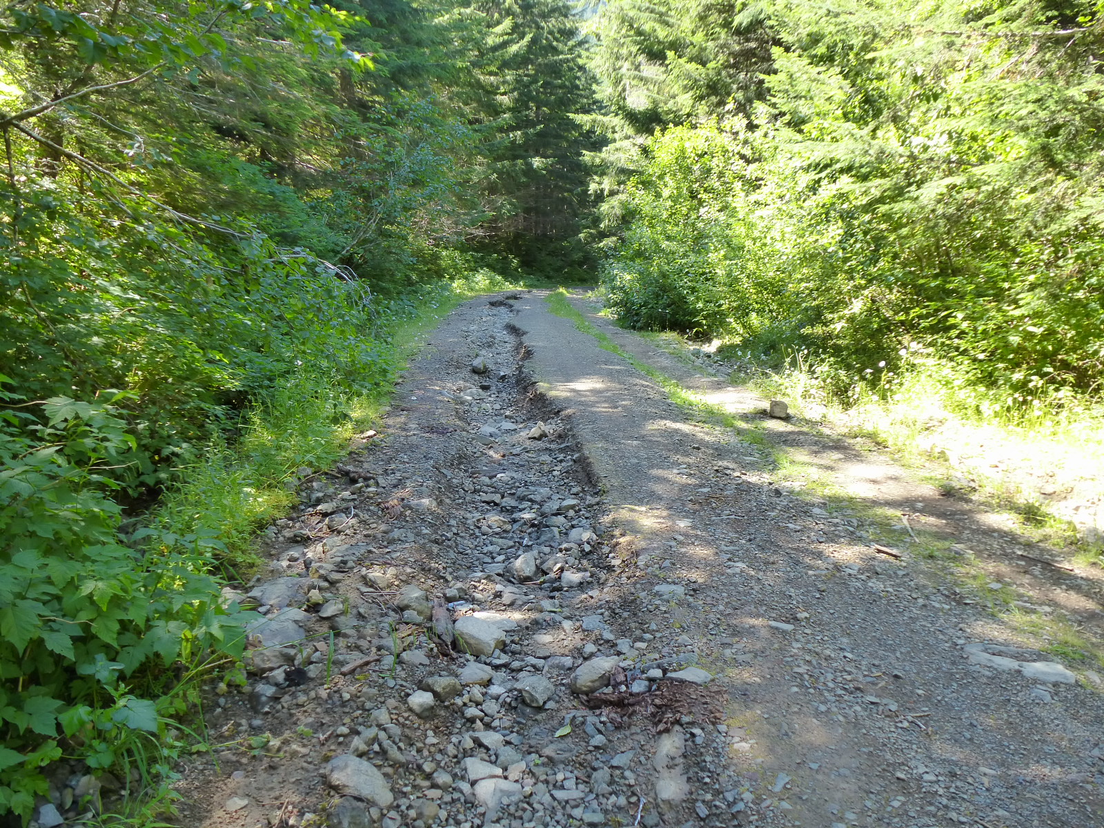 Cispus Lookout, Klickitat Trail — Washington Trails Association