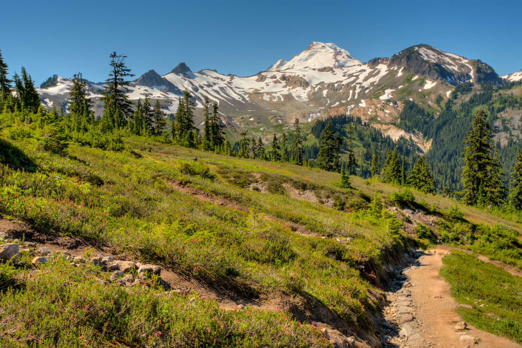Chain Lakes Loop — Washington Trails Association