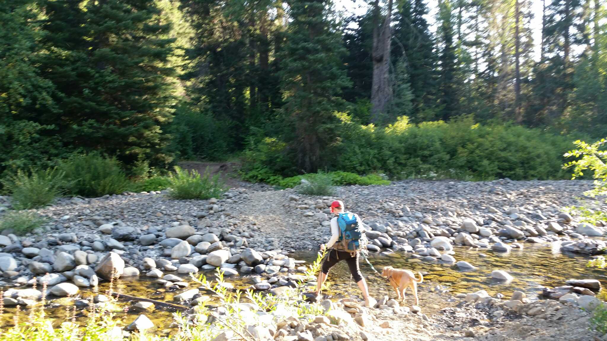 Middle Fork Teanaway River — Washington Trails Association