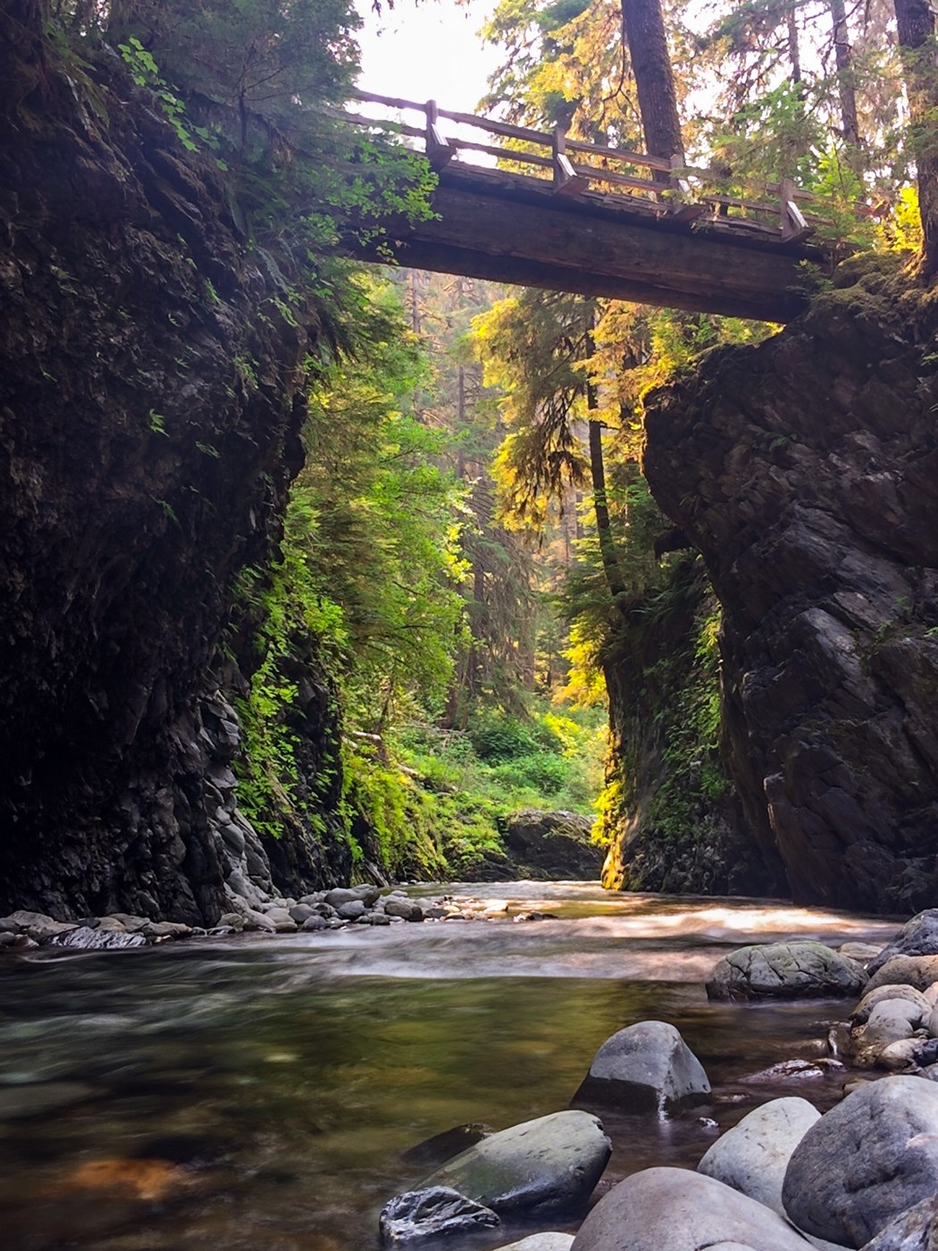 Enchanted Valley, O'Neil Pass — Washington Trails Association