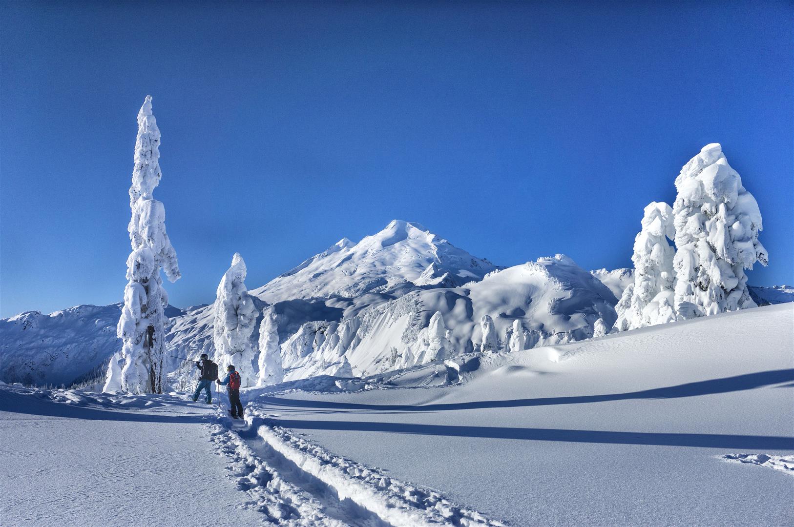 Artist Ridge - Huntoon Point — Washington Trails Association