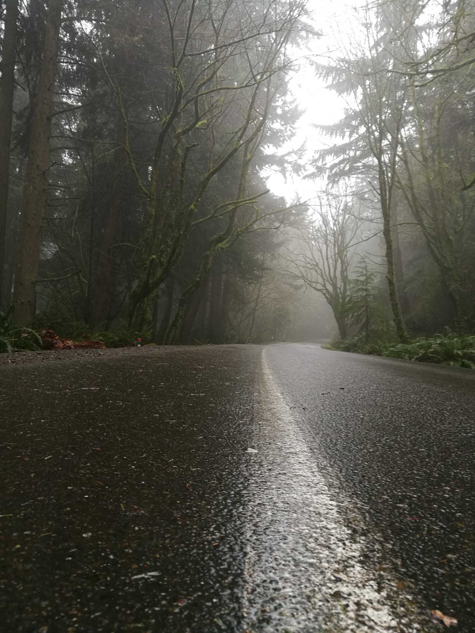 Point Defiance Park — Washington Trails Association