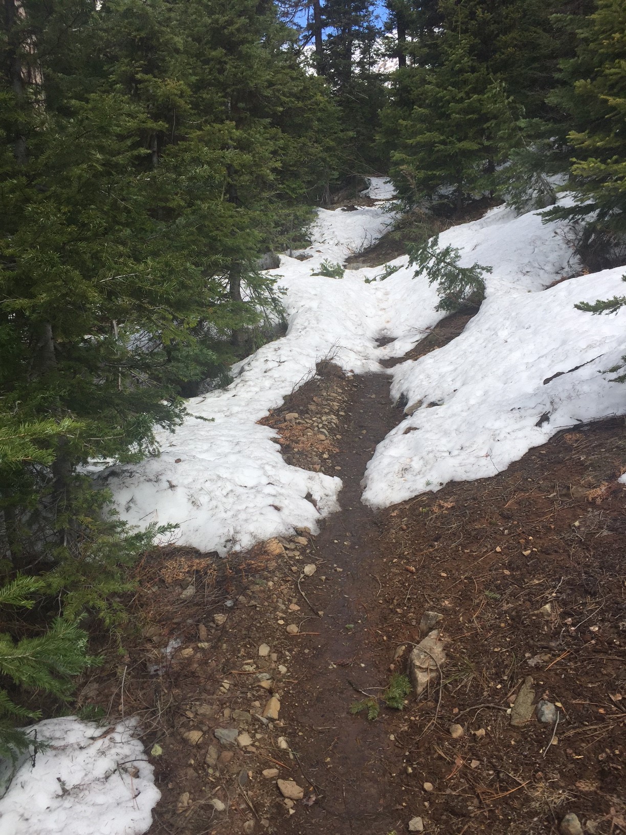 Navaho Pass — Washington Trails Association