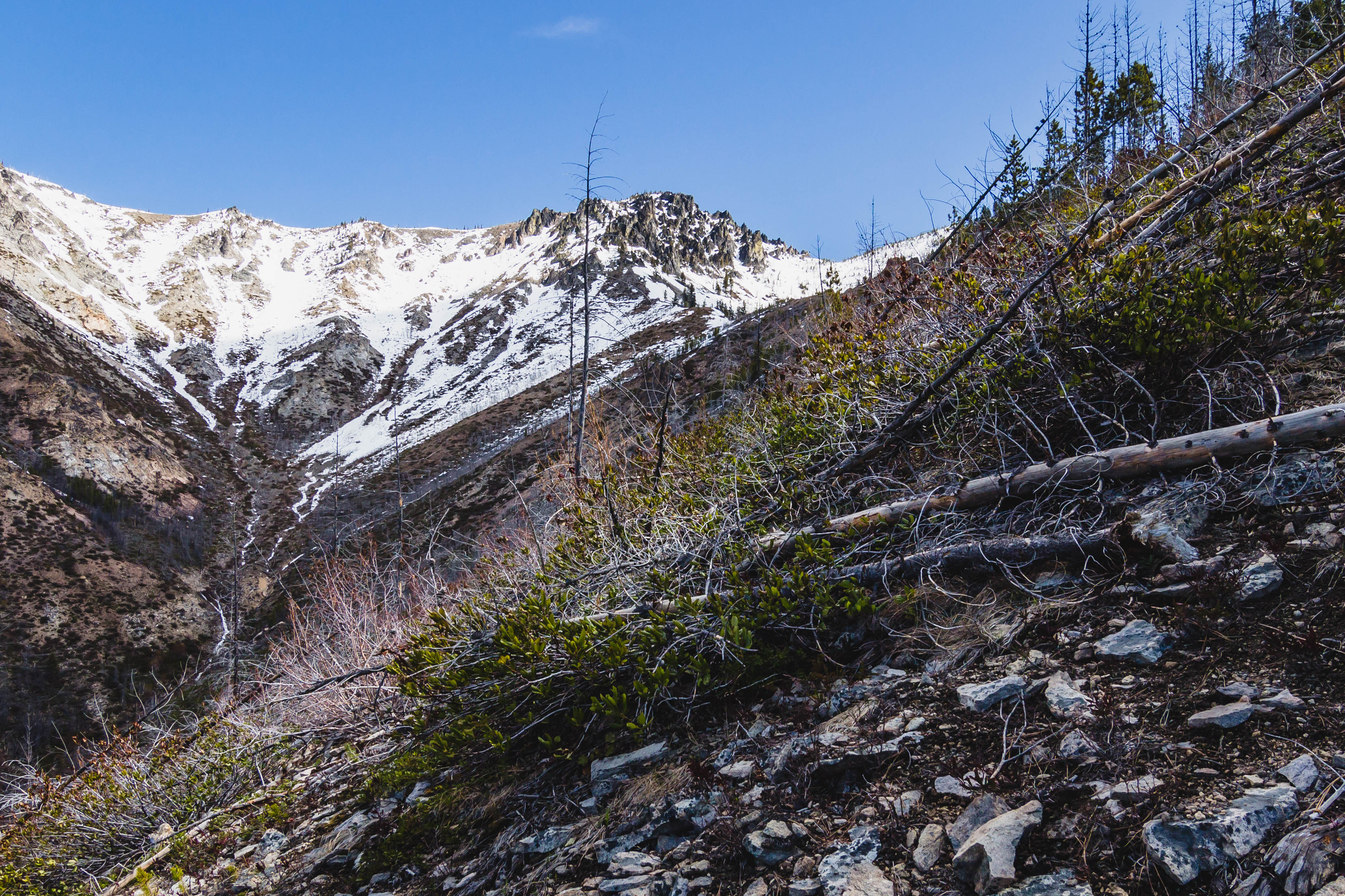 Devil's Backbone, Angle Peak — Washington Trails Association