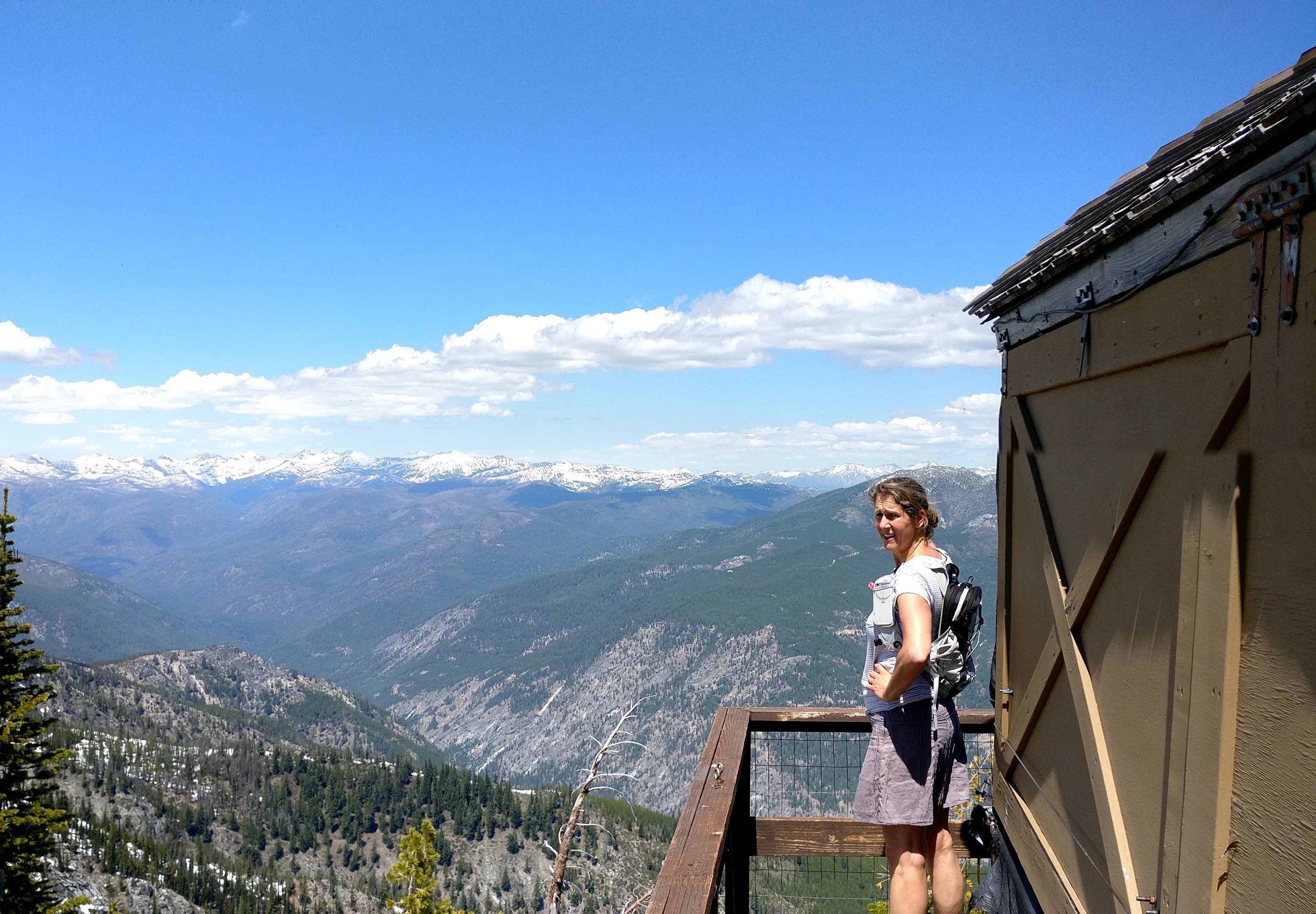 Tyee Lookout — Washington Trails Association