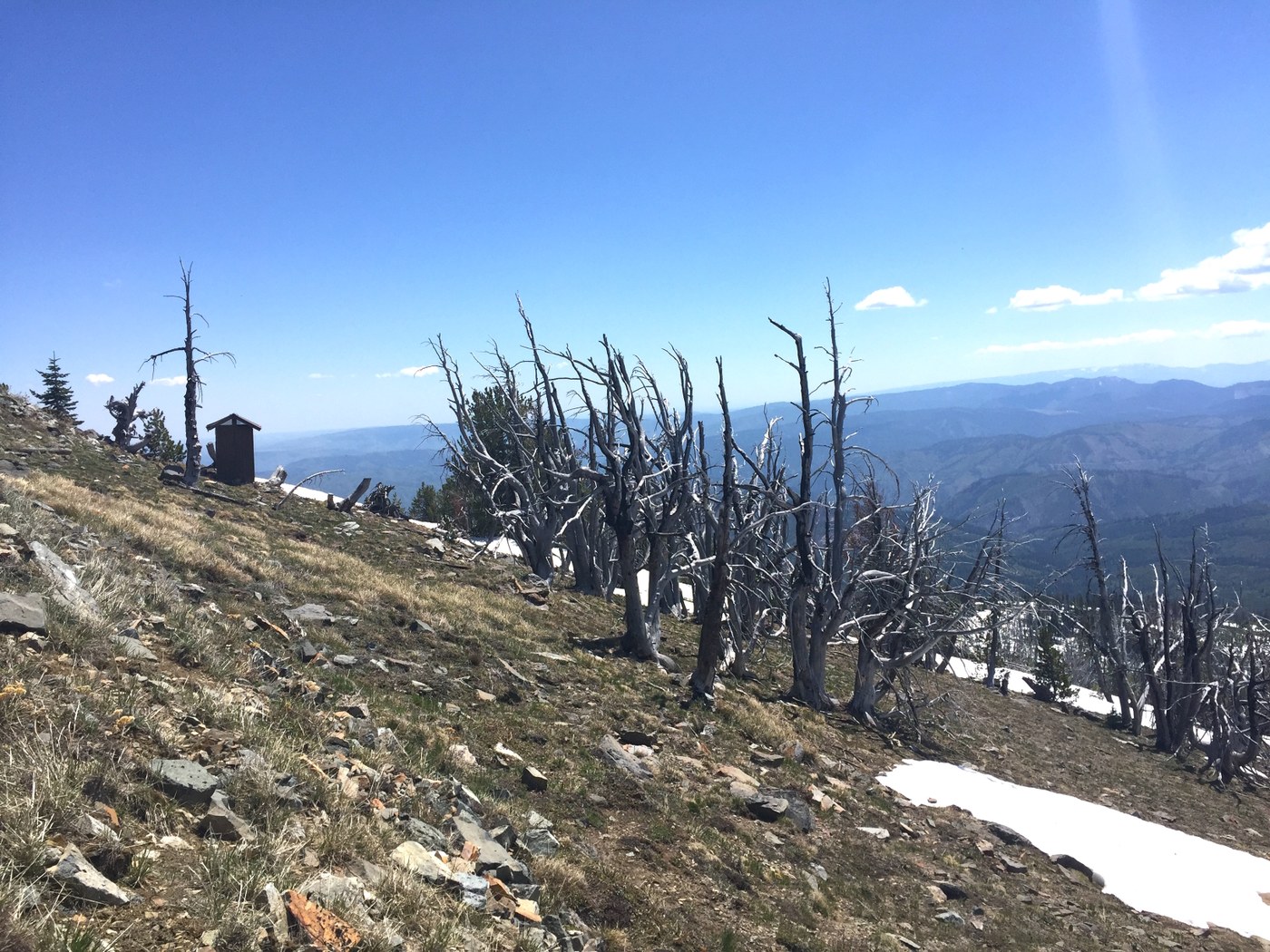 Tyee Lookout — Washington Trails Association