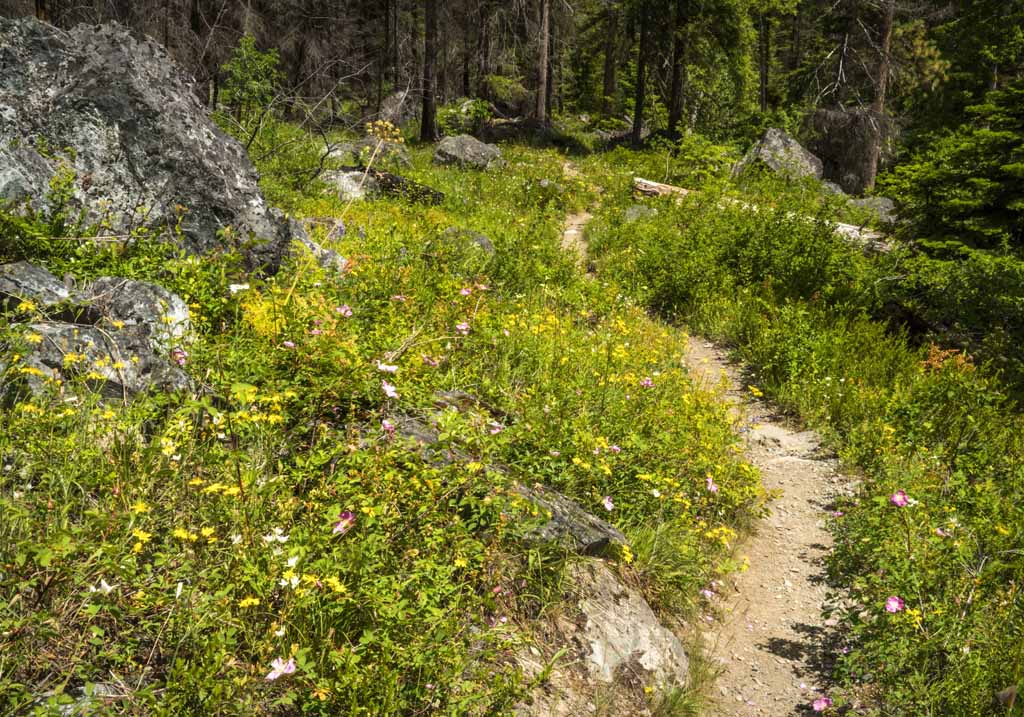 Ingalls Creek — Washington Trails Association