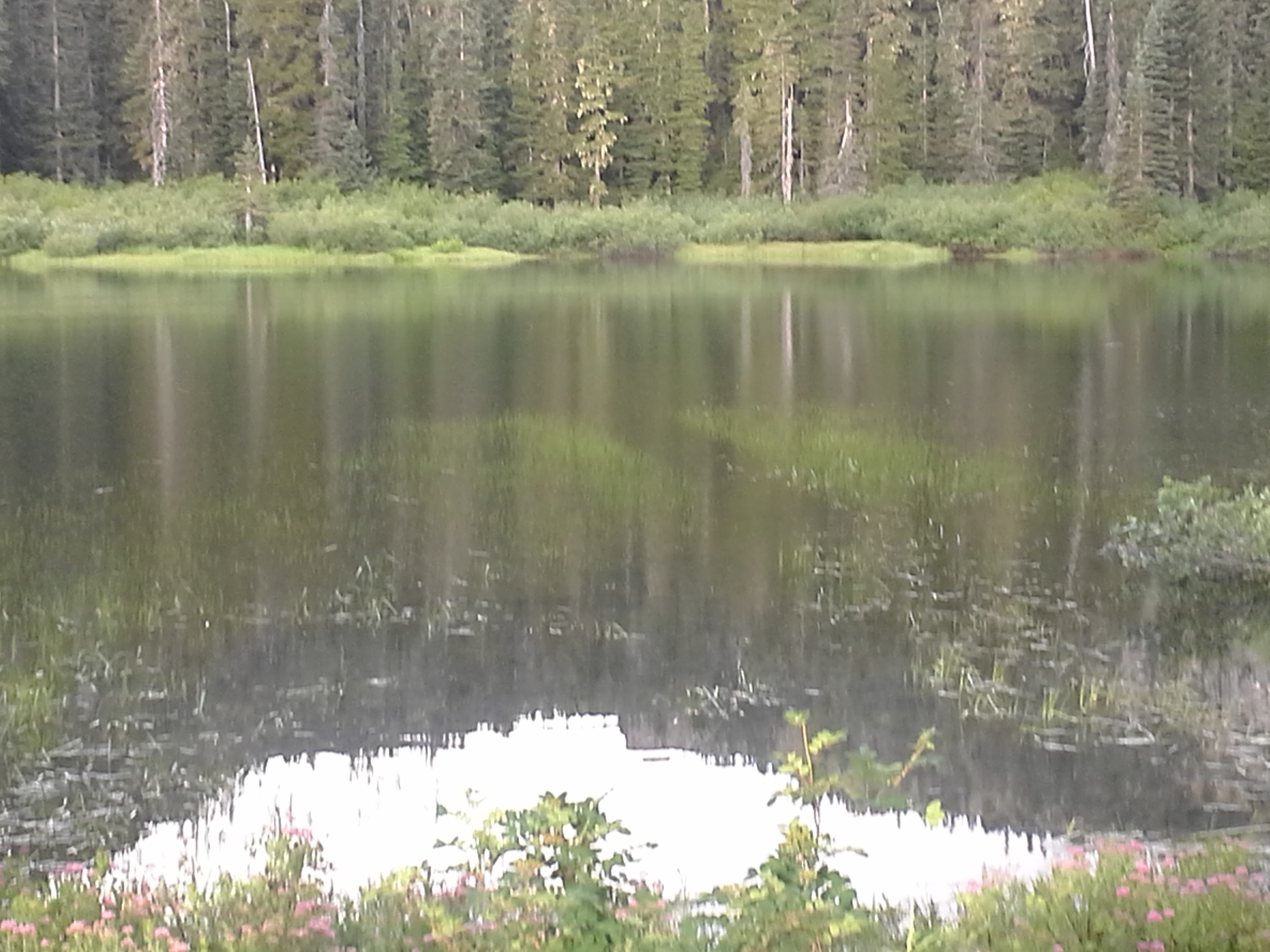 Swan Lake — Washington Trails Association