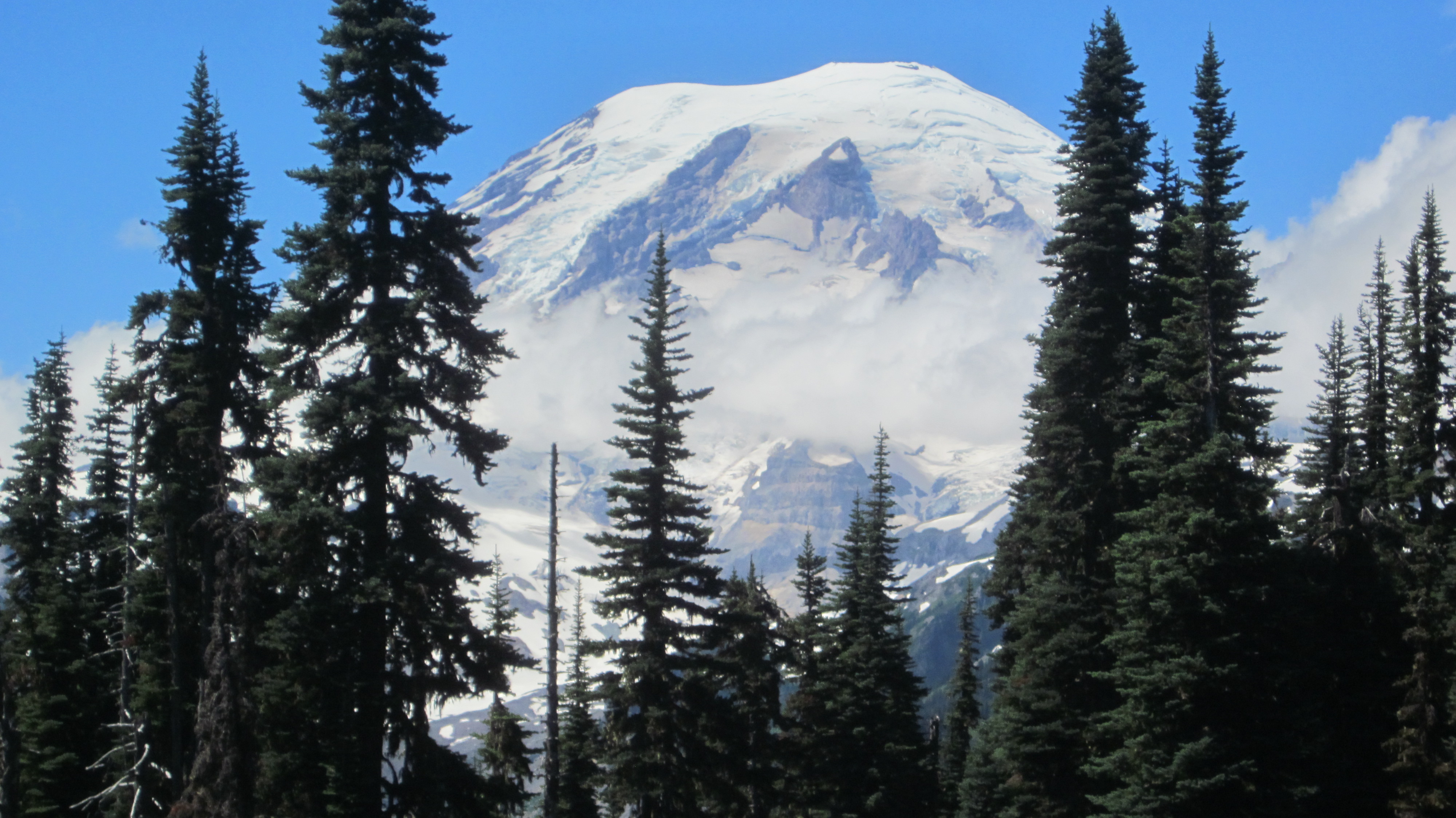 Indian Bar - Cowlitz Divide — Washington Trails Association