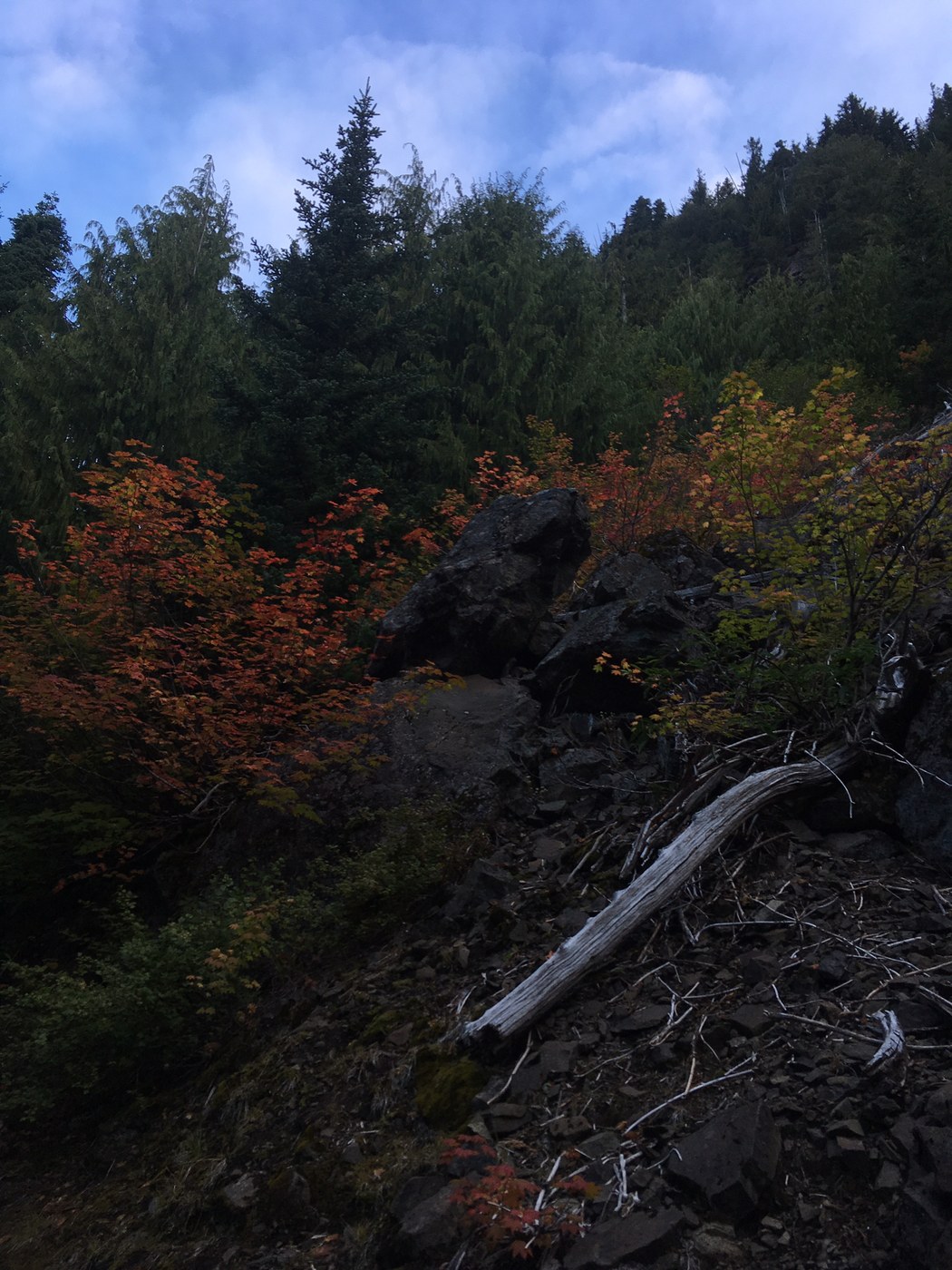 Mount Dickerman — Washington Trails Association