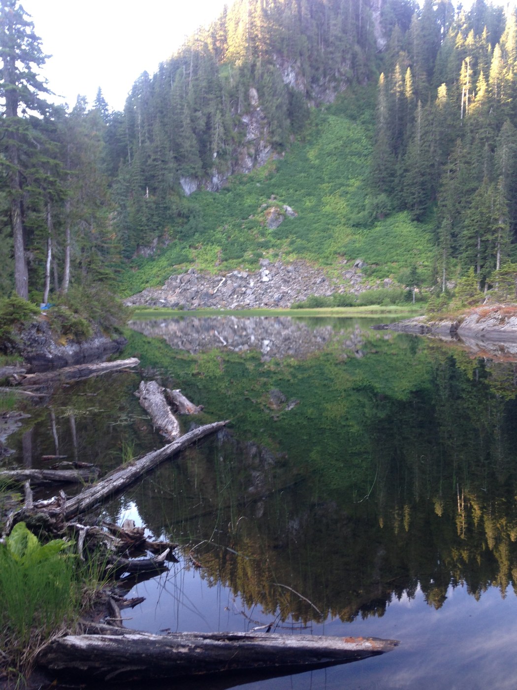 Stickney Lake — Washington Trails Association