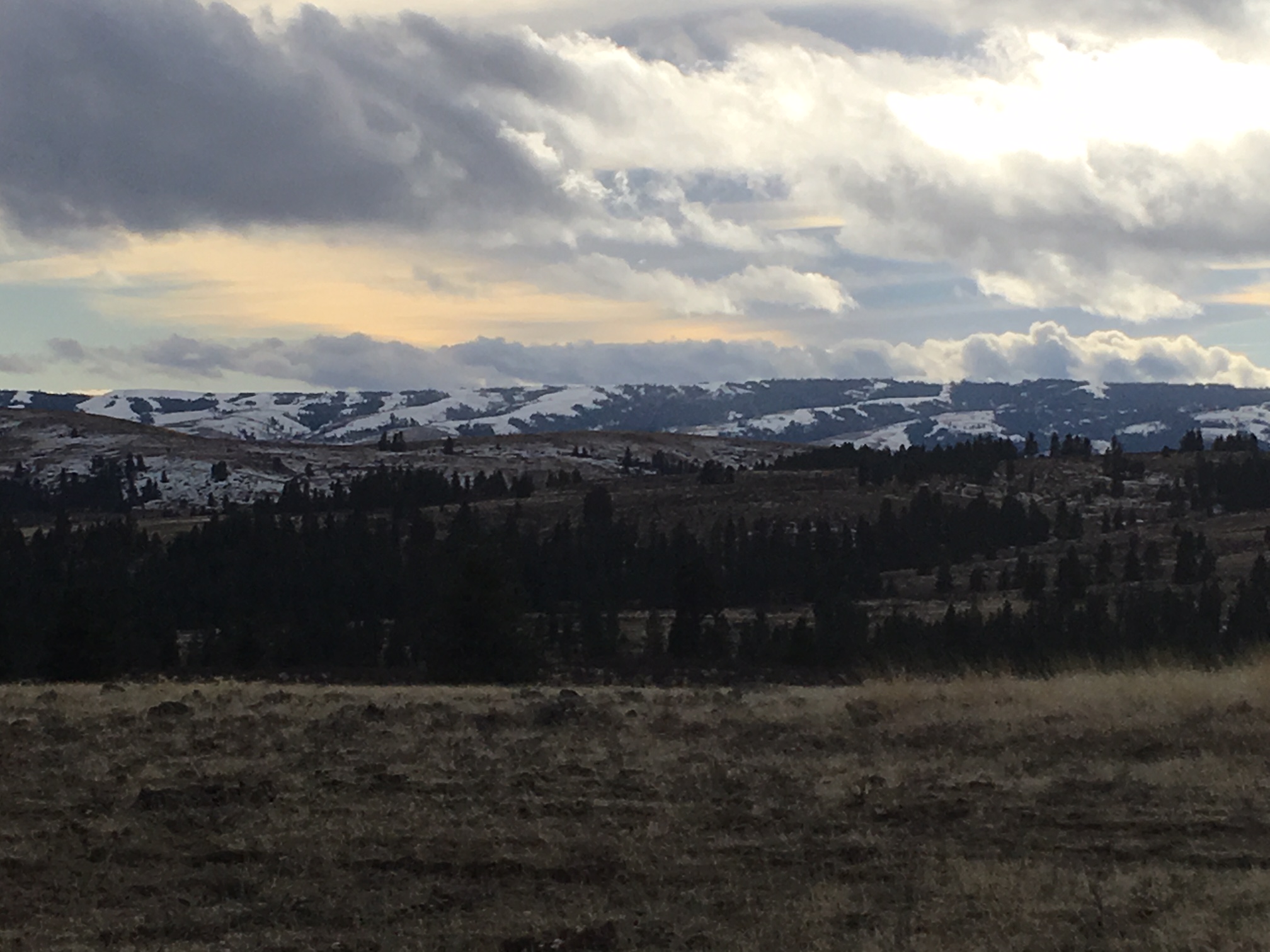 Observatory Road - Manastash Ridge — Washington Trails Association