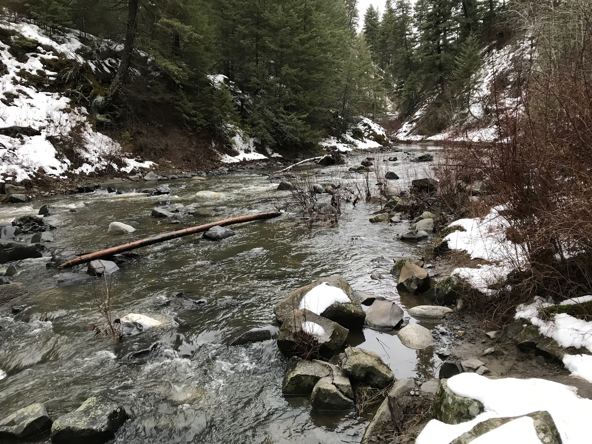 Spokane Centennial Trail, Riverside State Park - Trail 25, Riverside ...