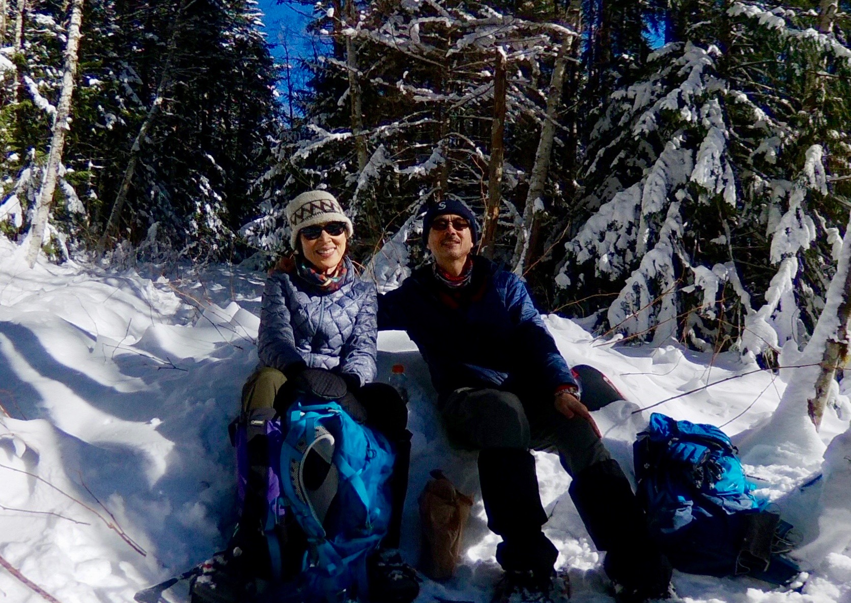 Segelsen Ridge Snowshoe — Washington Trails Association