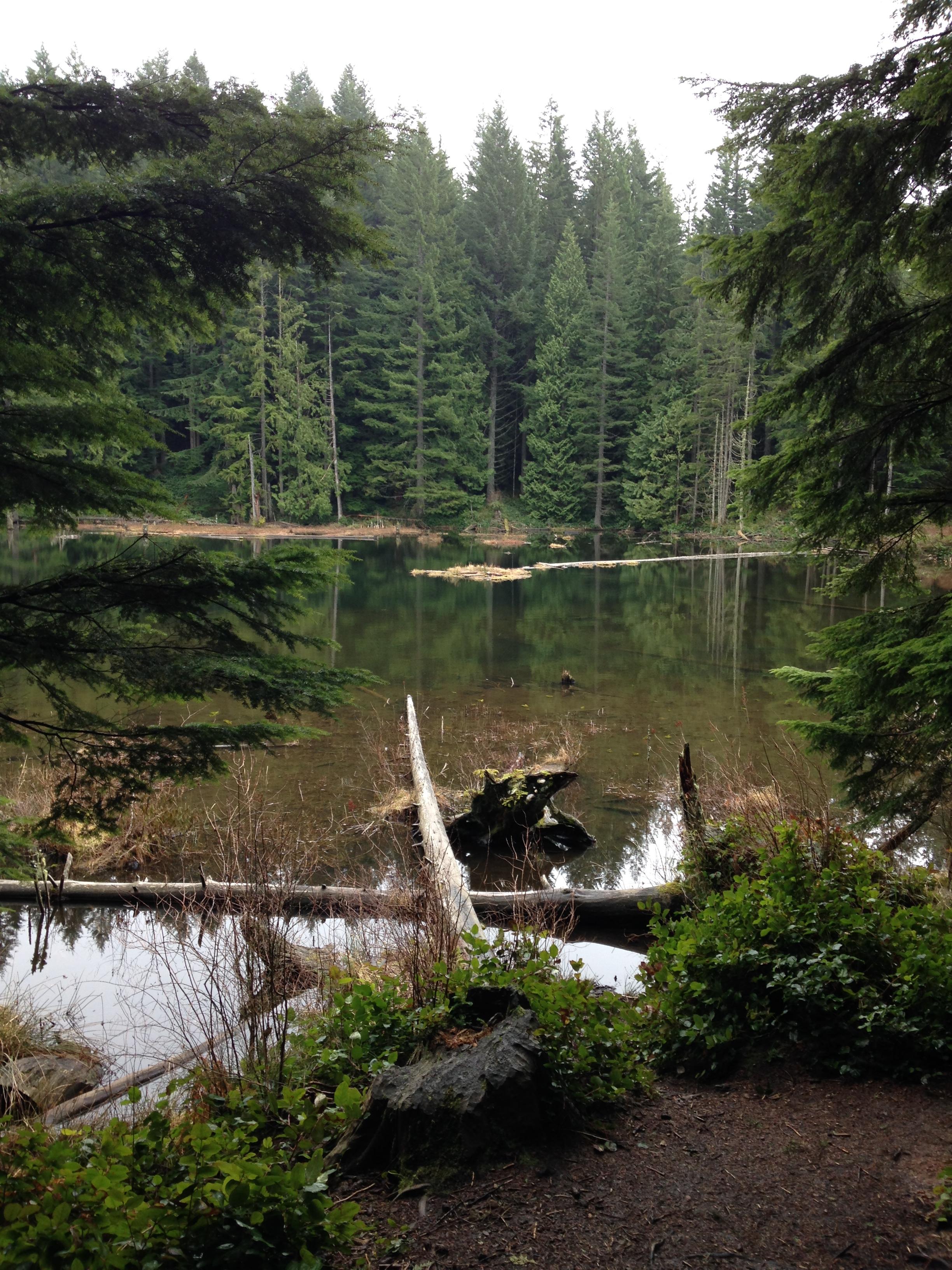 Lily and Lizard Lake Loop, Oyster Dome — Washington Trails Association