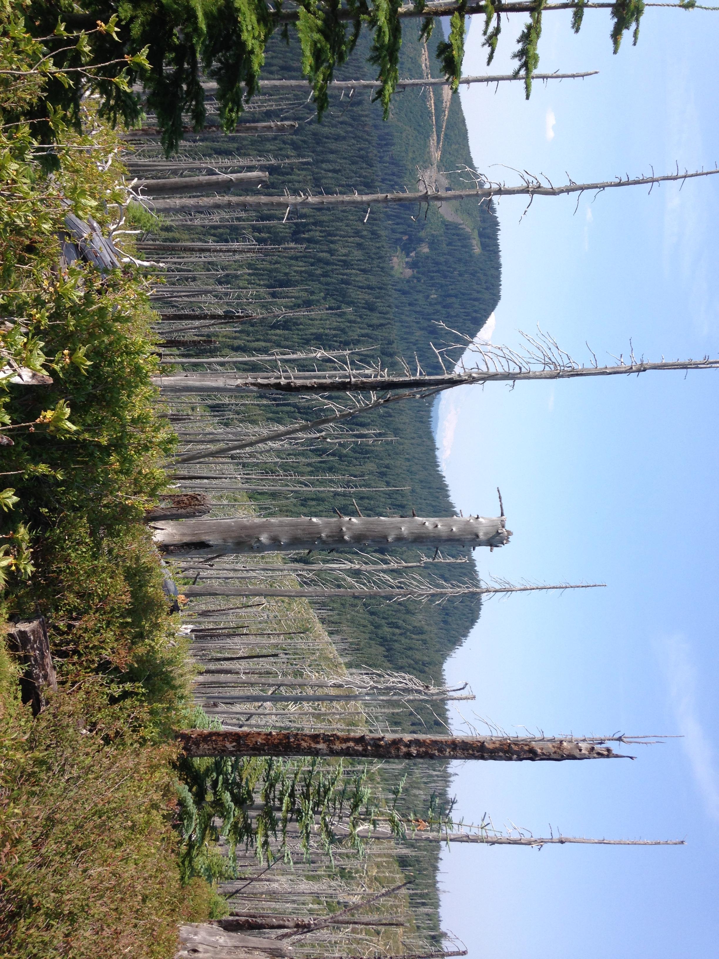 Pyramid Peak — Washington Trails Association