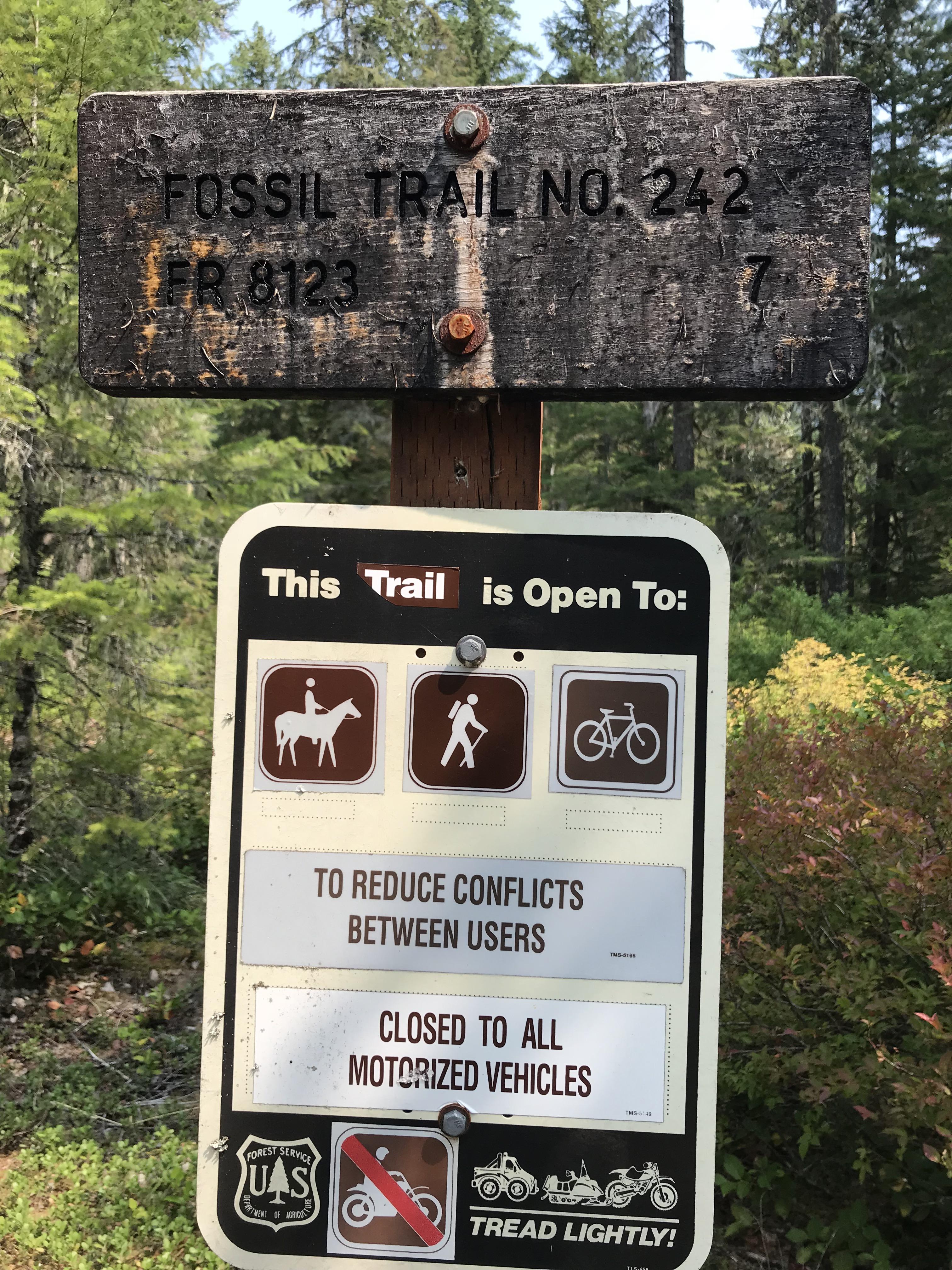 Fossil Trail — Washington Trails Association