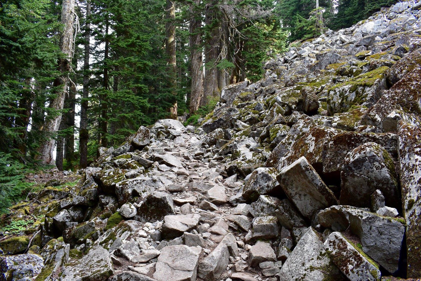 Mount Pilchuck — Washington Trails Association